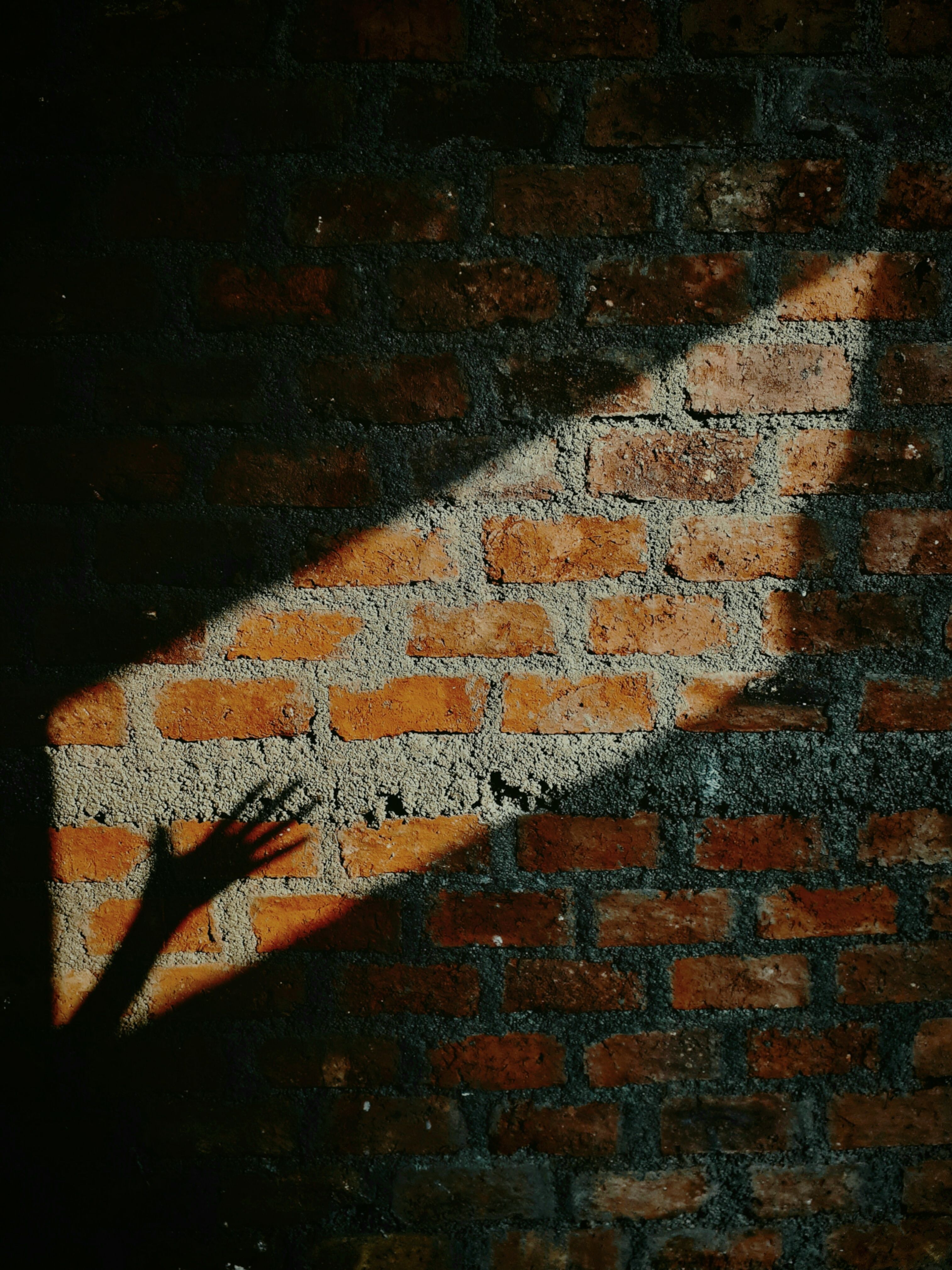 Woman Hiding in Shade from Sunlight · Free Stock Photo