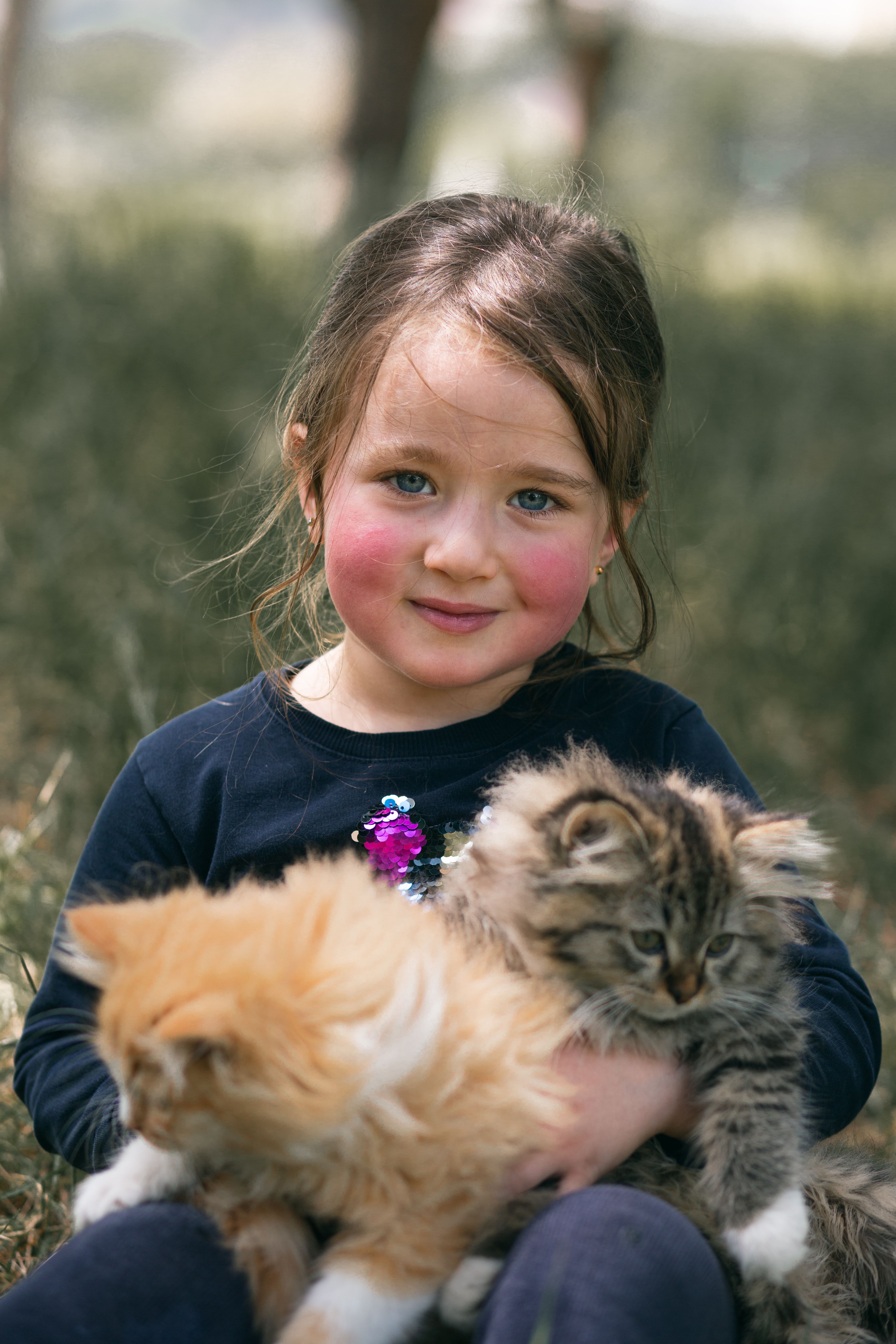 Cat Red Background Photos, Download The BEST Free Cat Red Background ...