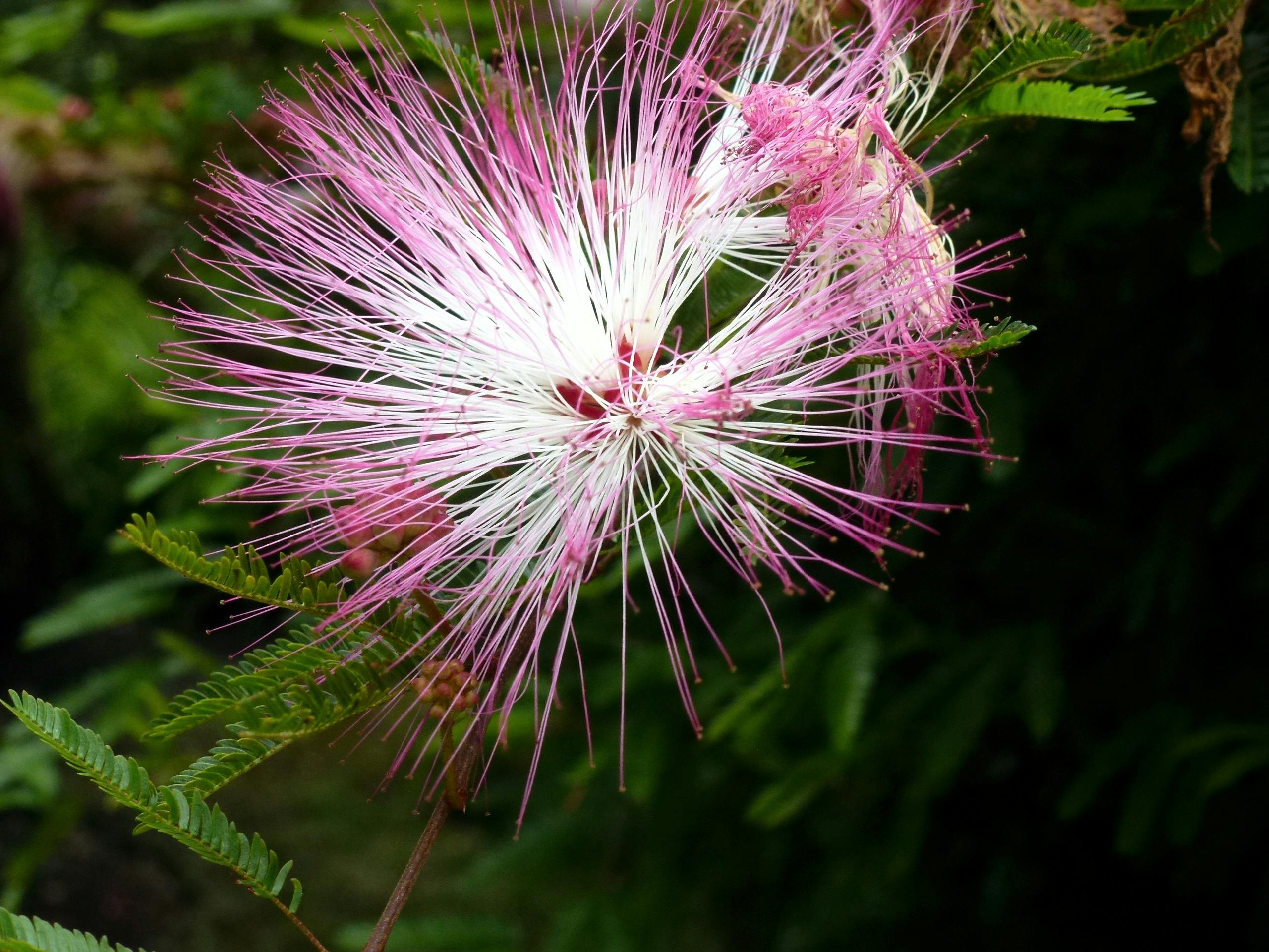 Photo gratuite de doigt de dieu, effondrement avant 1988, mukurob