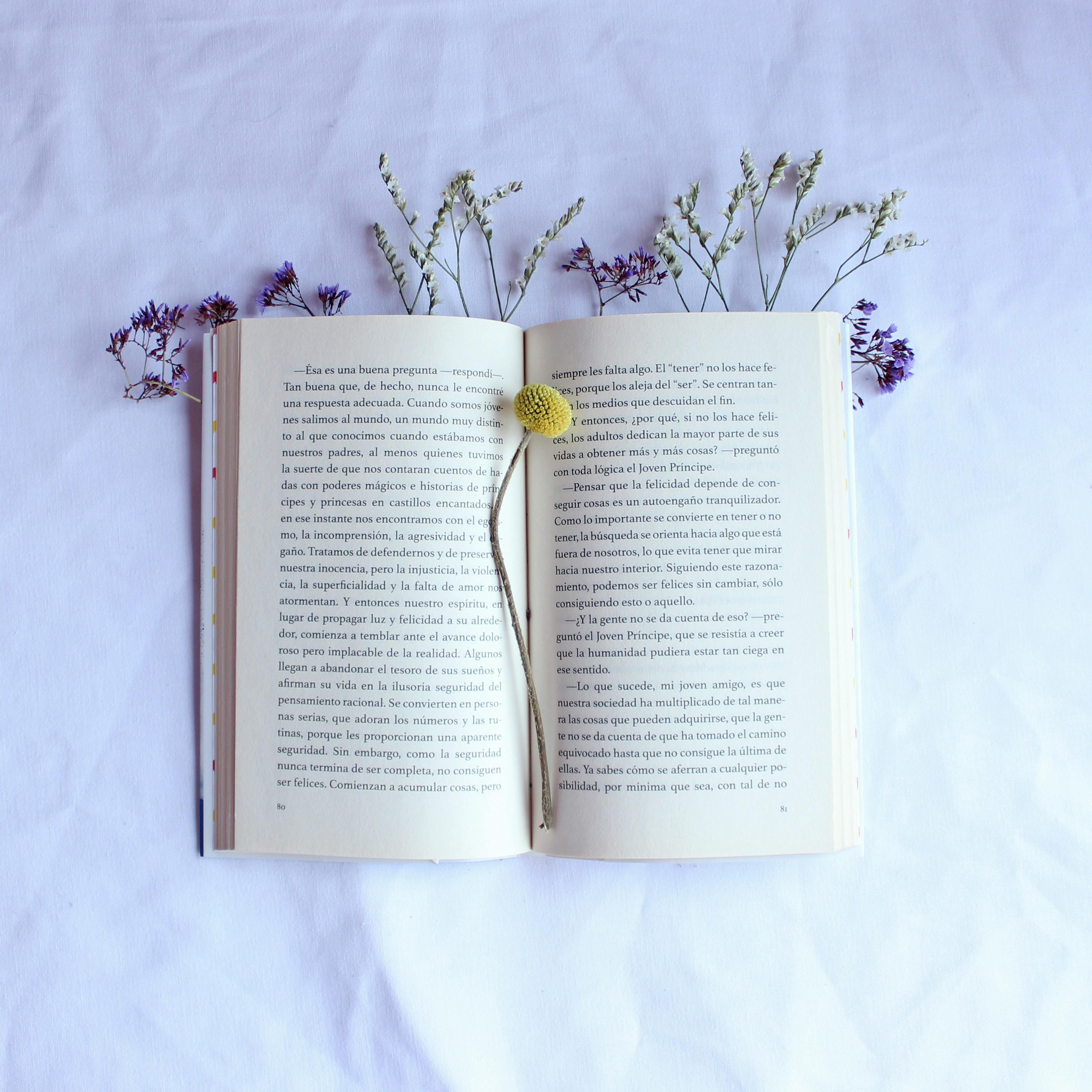 Open Book with Flowers · Free Stock Photo