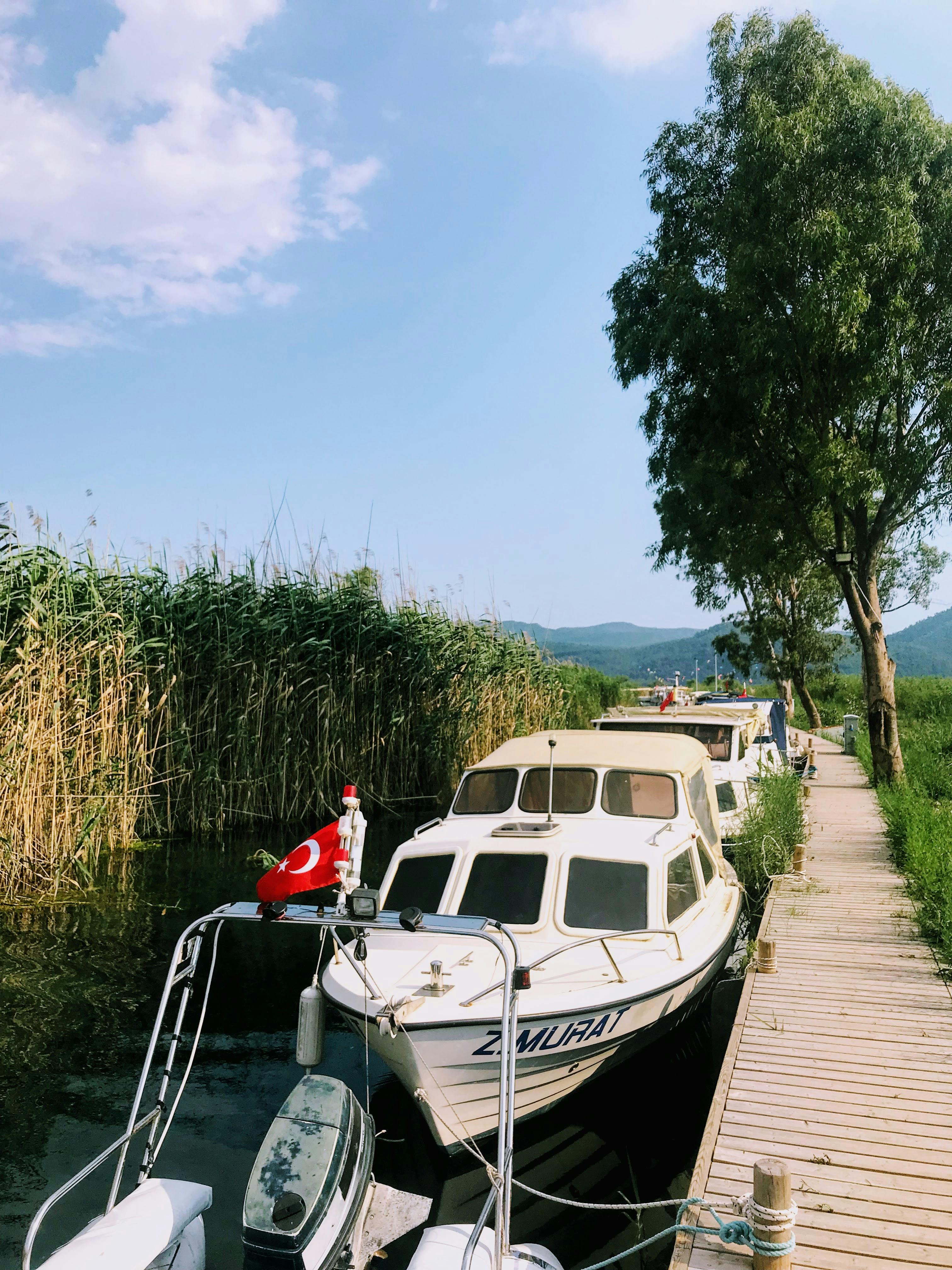 Sema Selek - Fotografía