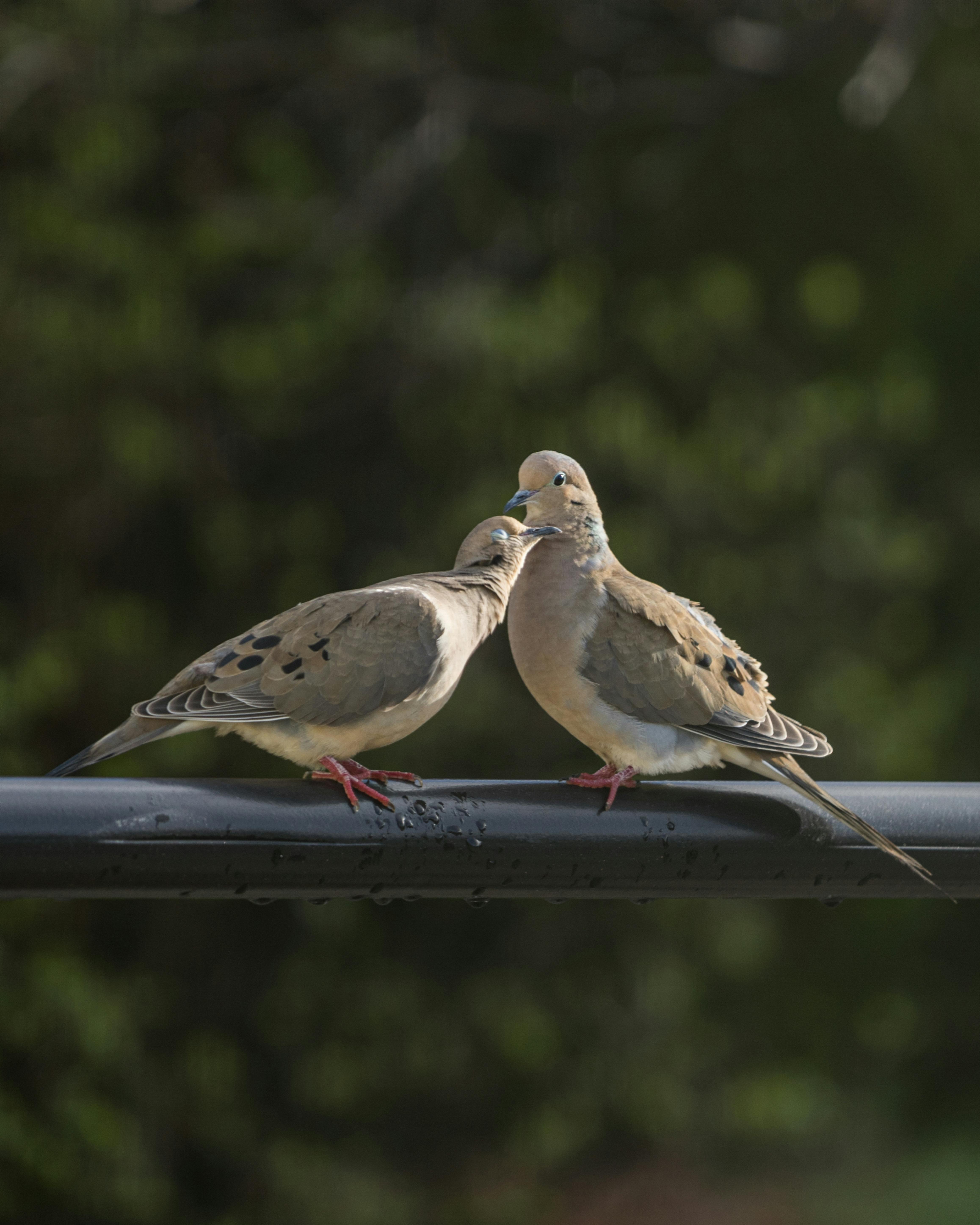 Cutest Pictures 7 Photos & Videos Collected by Connor Martin