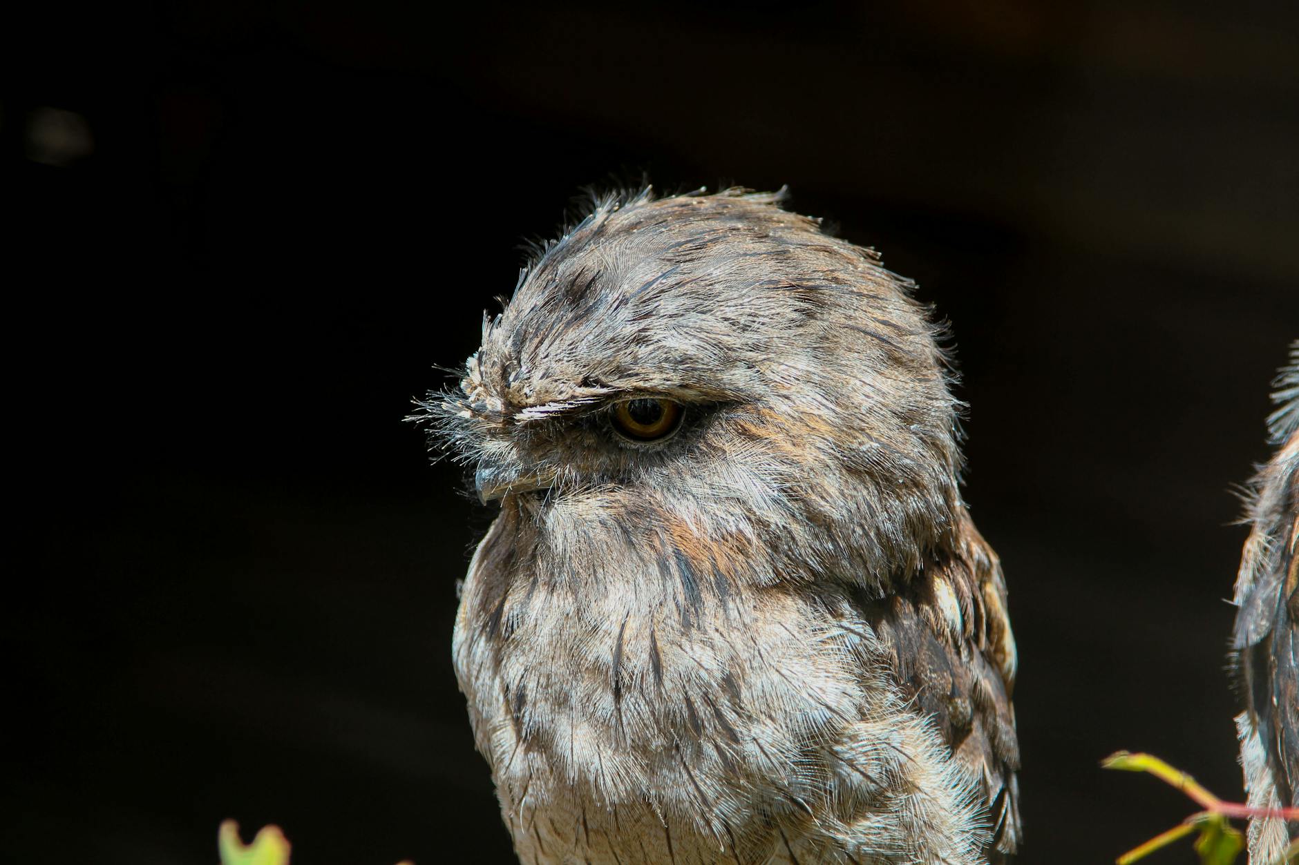 Free Stock Photo From Pascal Pexels free-stock-photo-from-pascal-pexels