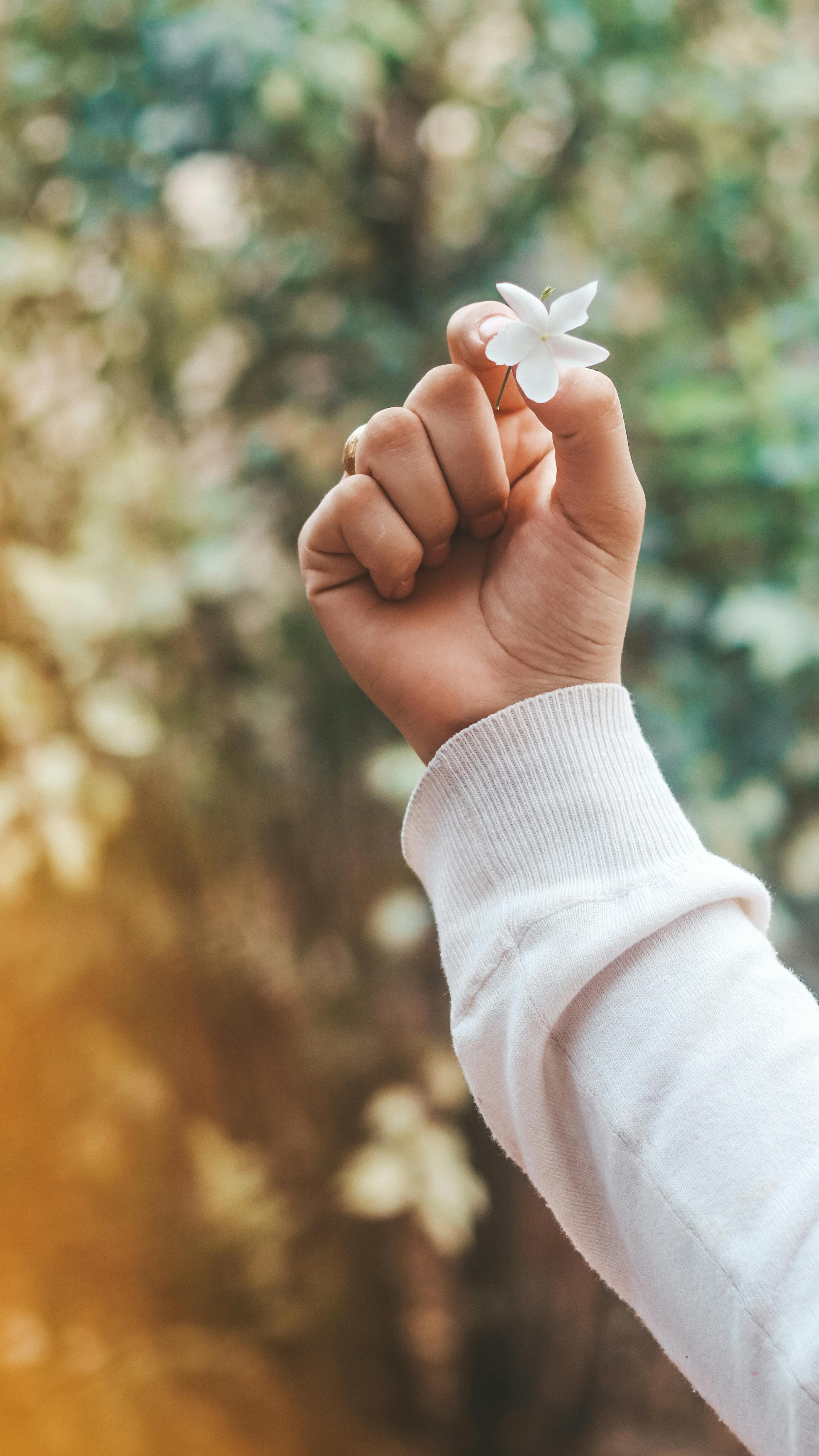 Abdullah Rasheed - 사진