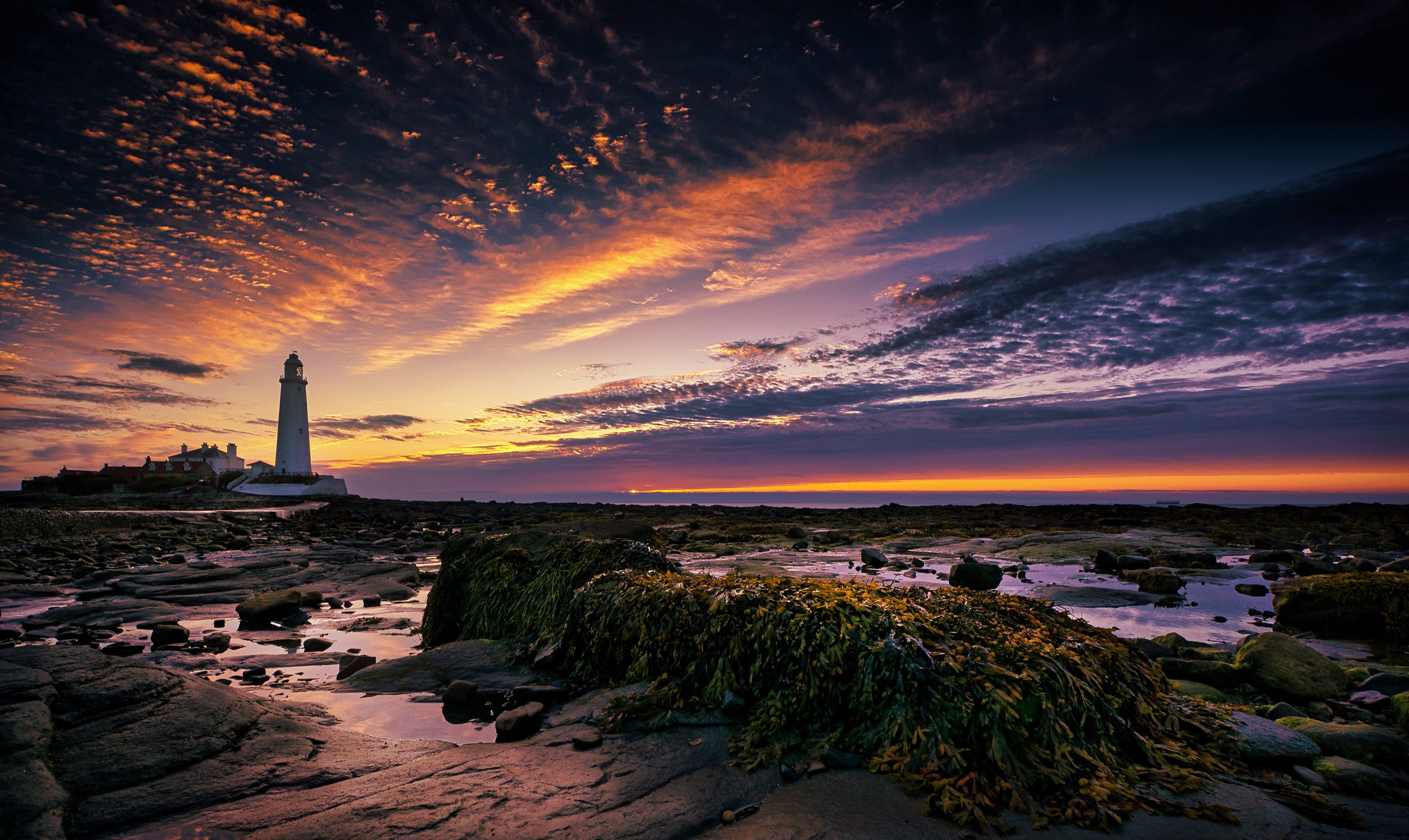 Scenic Shot of St Mary's Lighthouse · Free Stock Photo