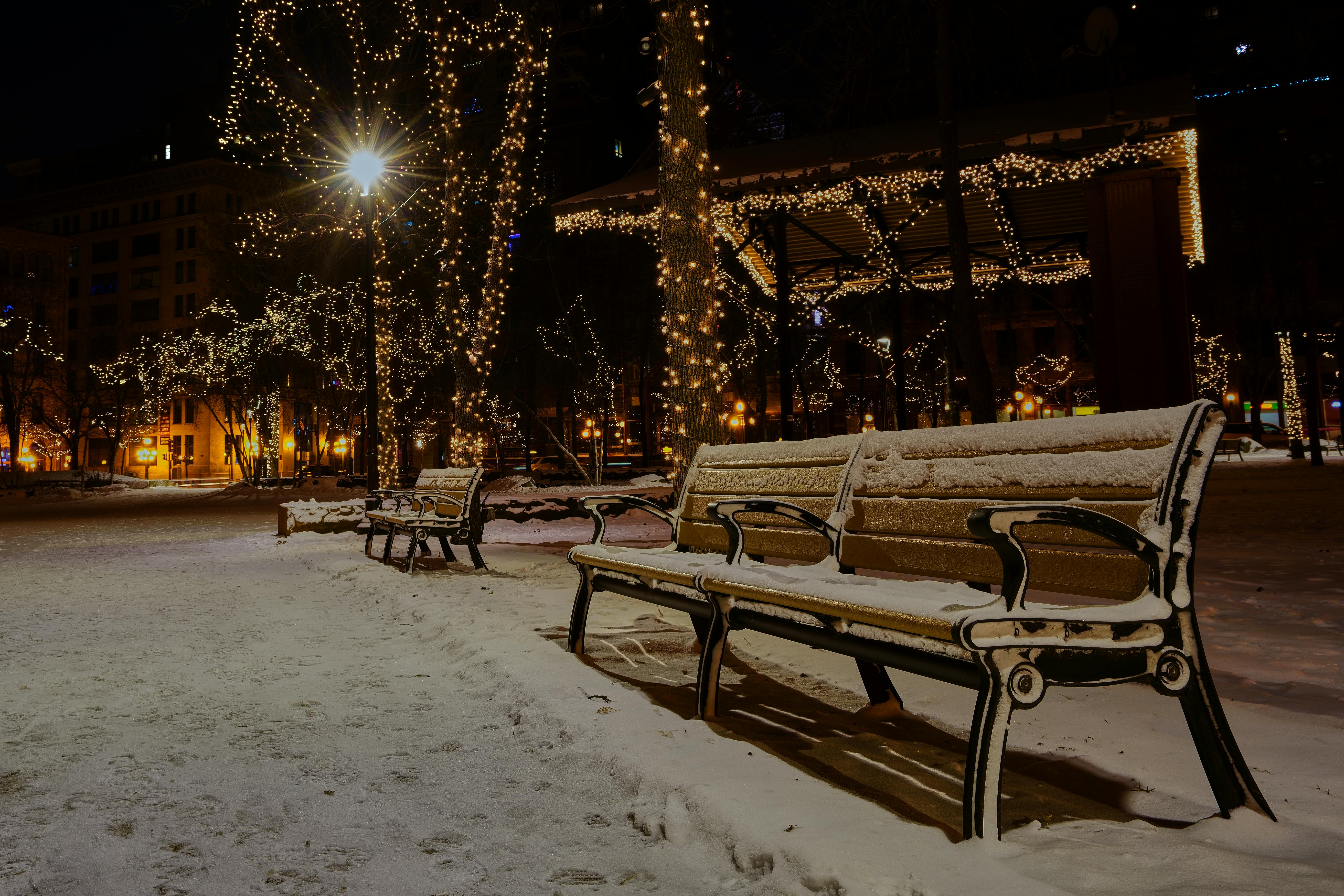 Photo of Snow Covered Benches in the Park · Free Stock Photo
