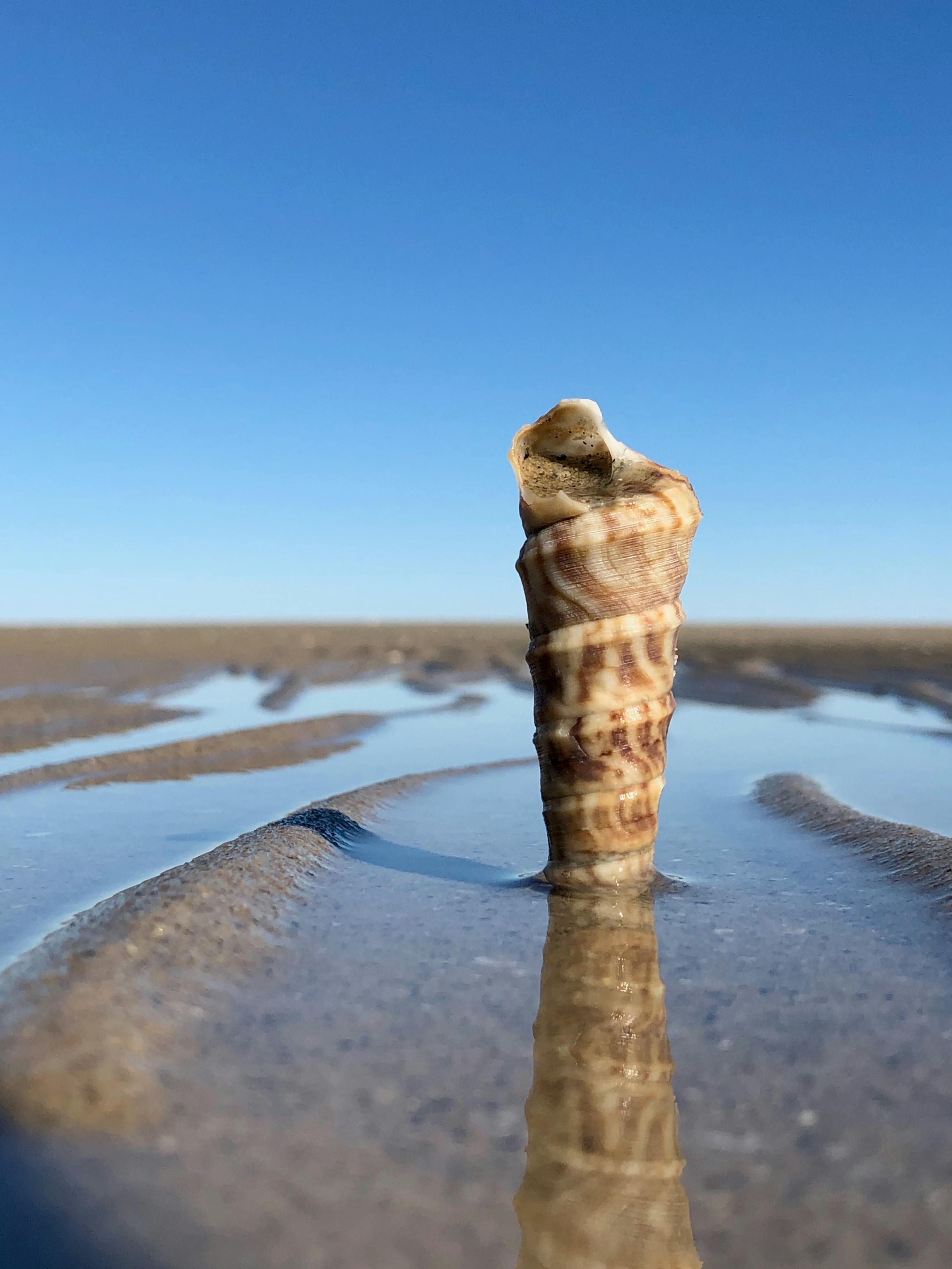 Alex Joslin – Fotografia