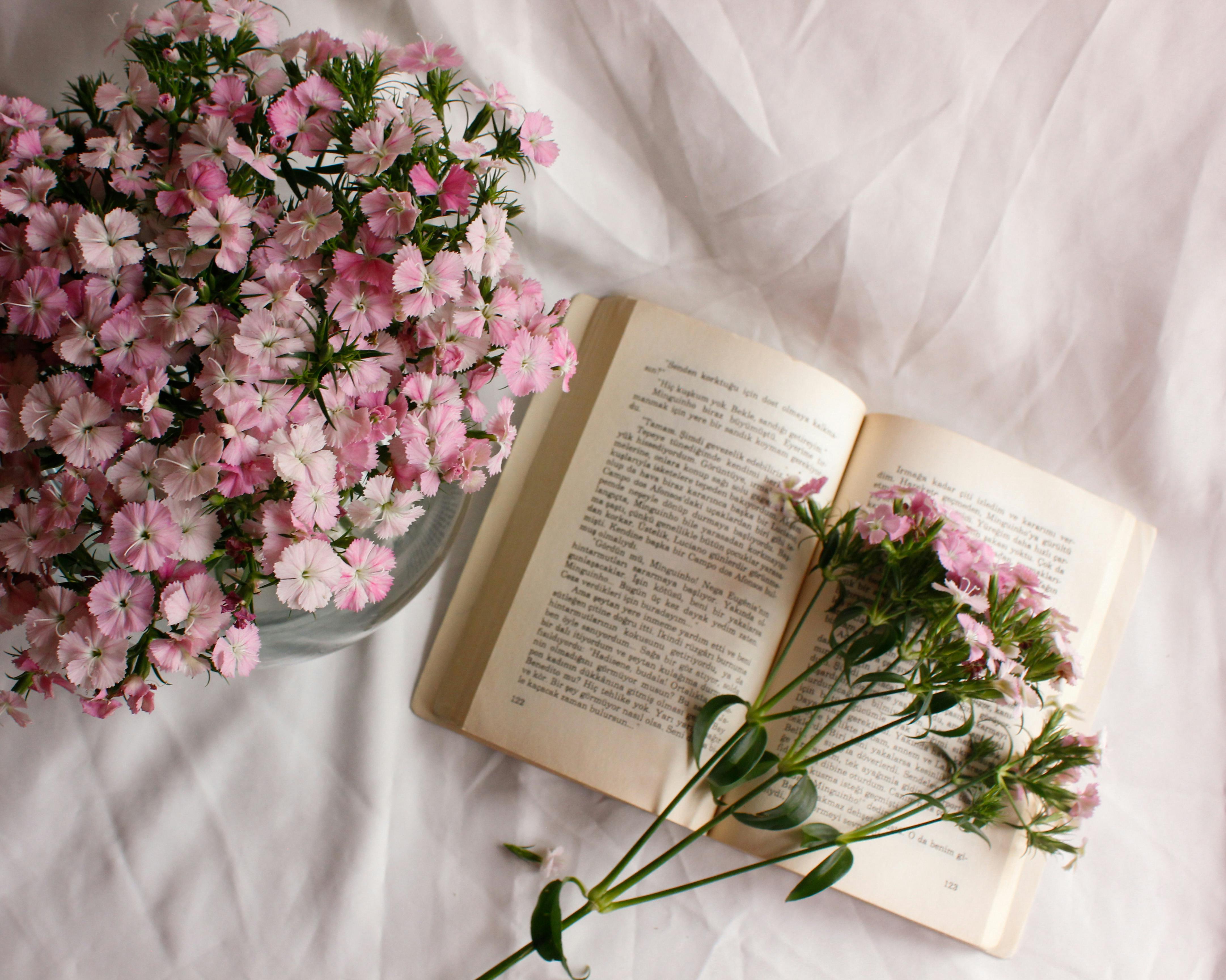 Pink Flowers and a Book · Free Stock Photo