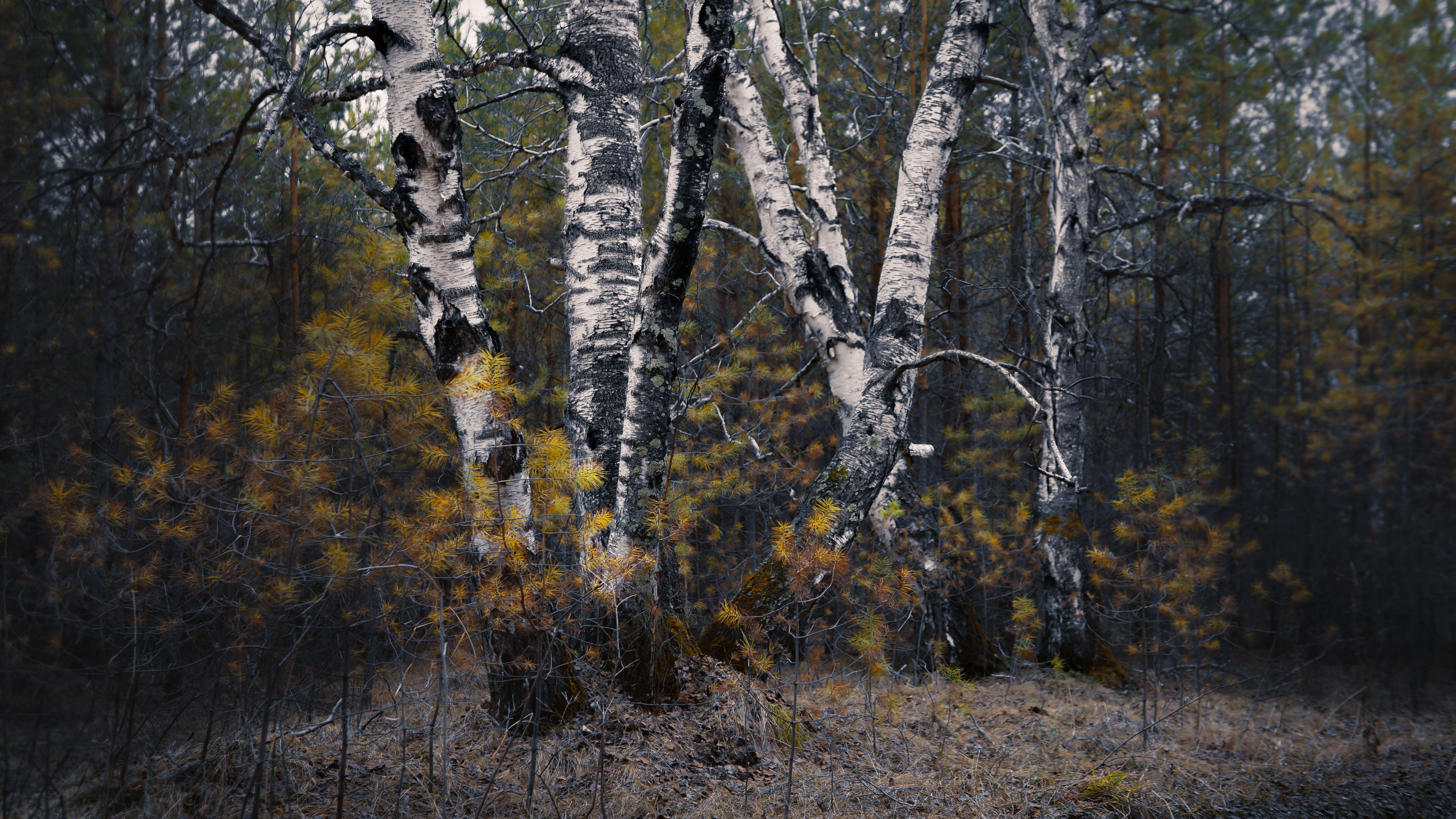 Dmitry Demidov · Photography