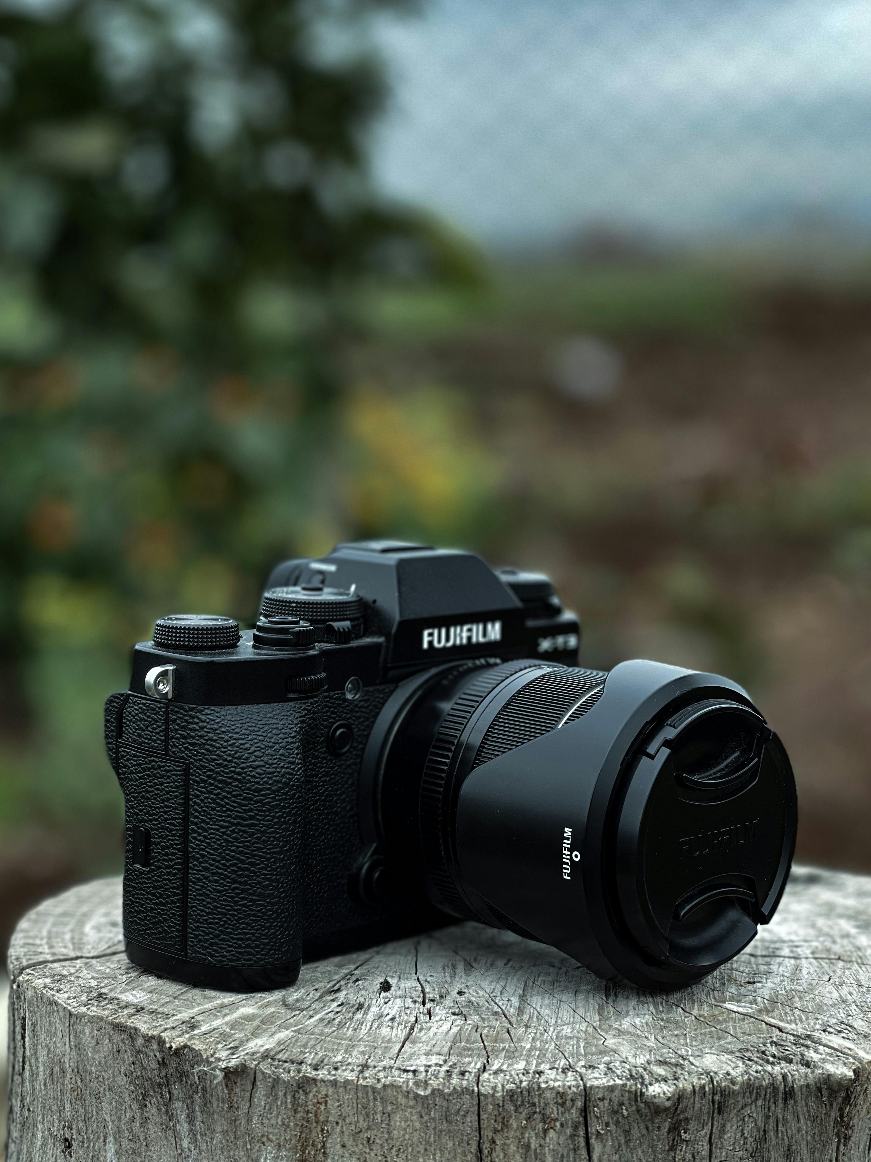 Photo camera on wooden stump · Free Stock Photo