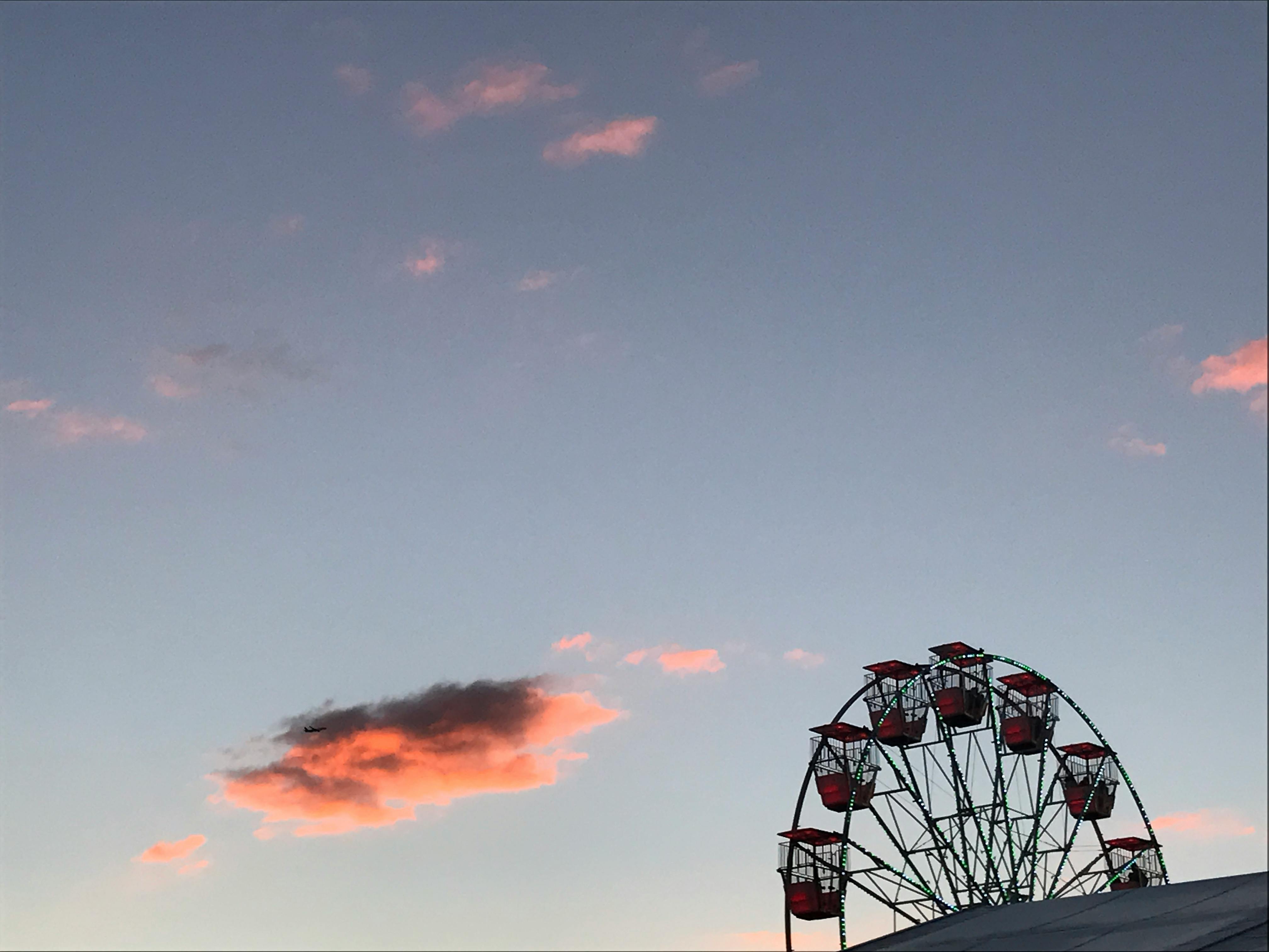 Dan Toomey - Photography