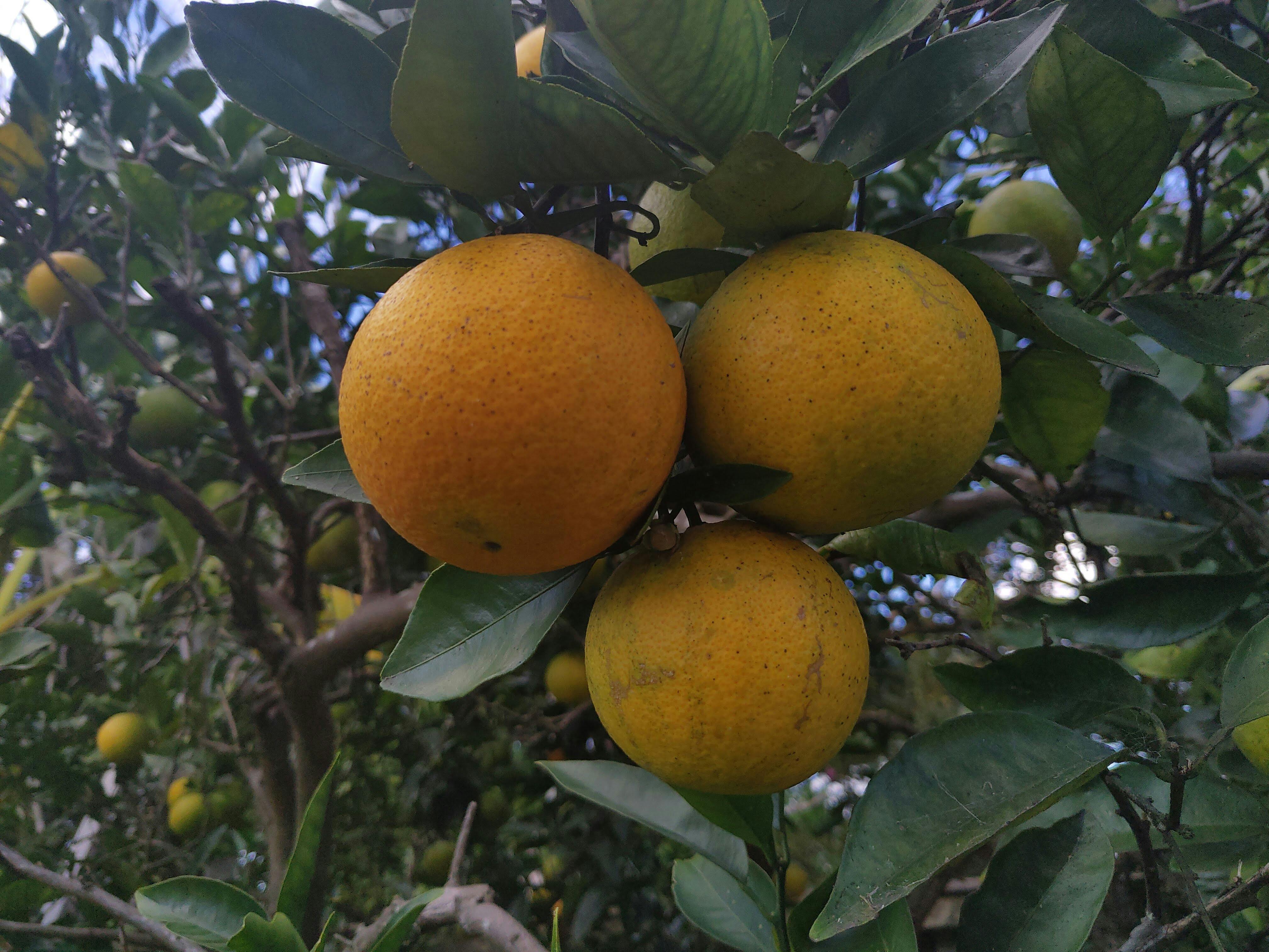 Dorben MFB Limited - Building Financial Freedom Together