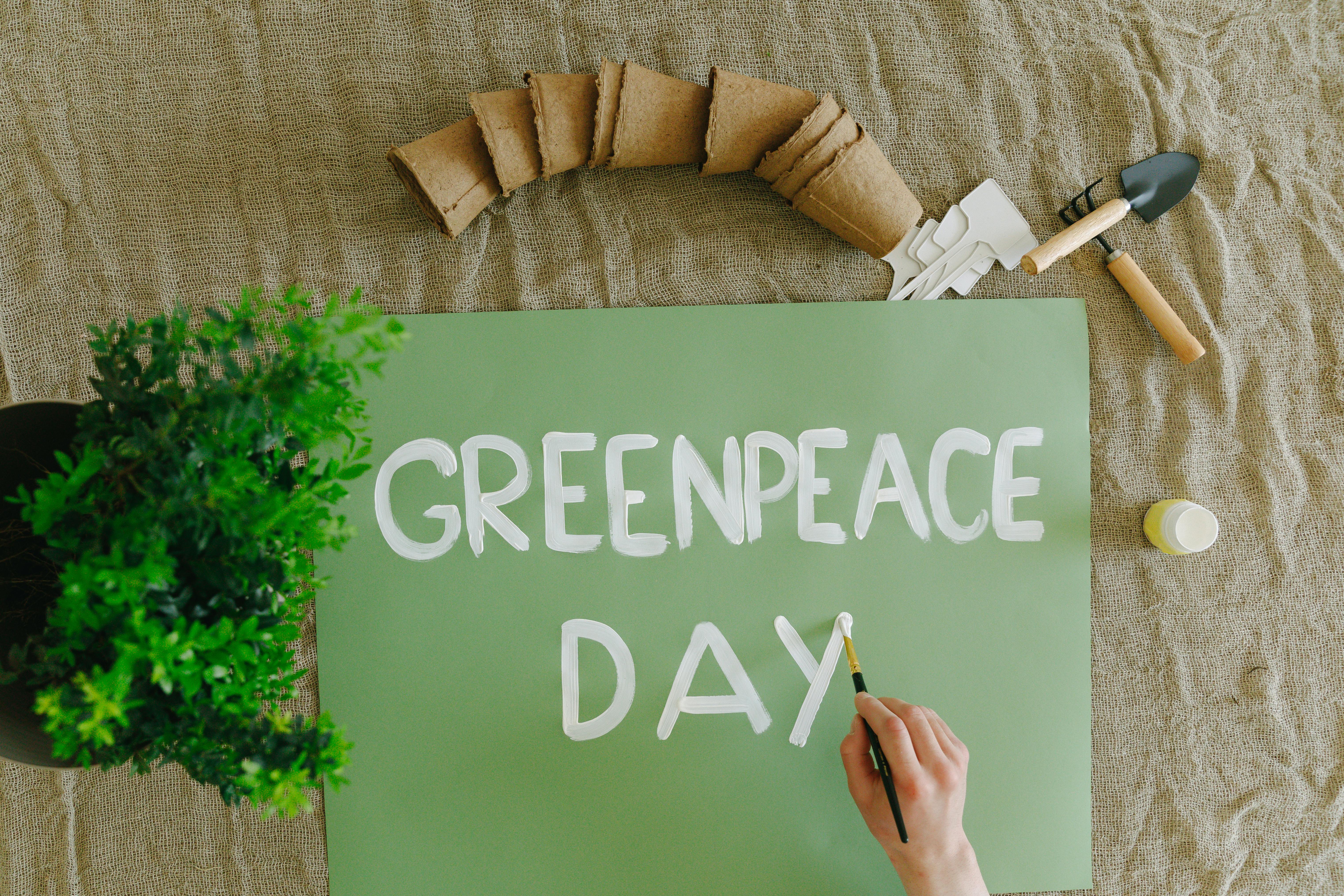 Hand Crafted Pots Photos, Download The BEST Free Hand Crafted Pots ...