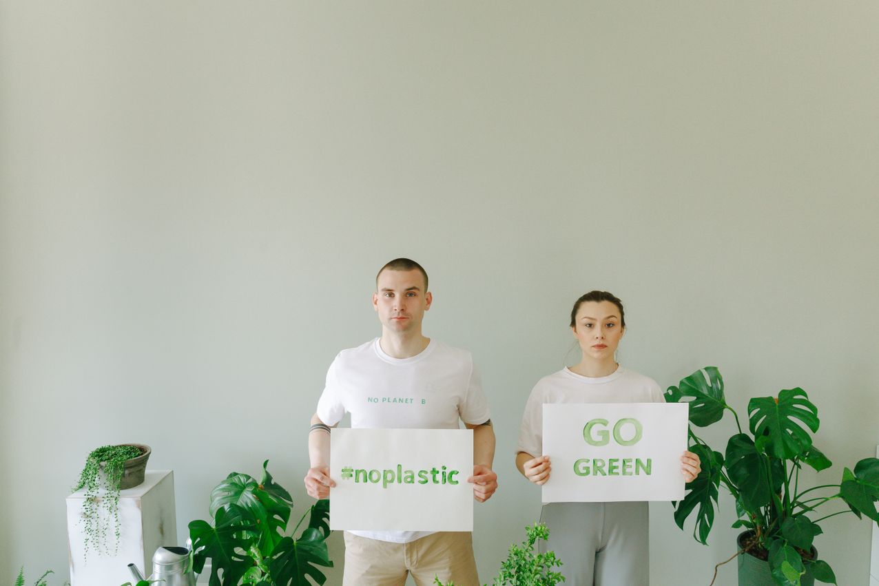 What Is Ecosia and How It Helps the Planet in Simple Terms