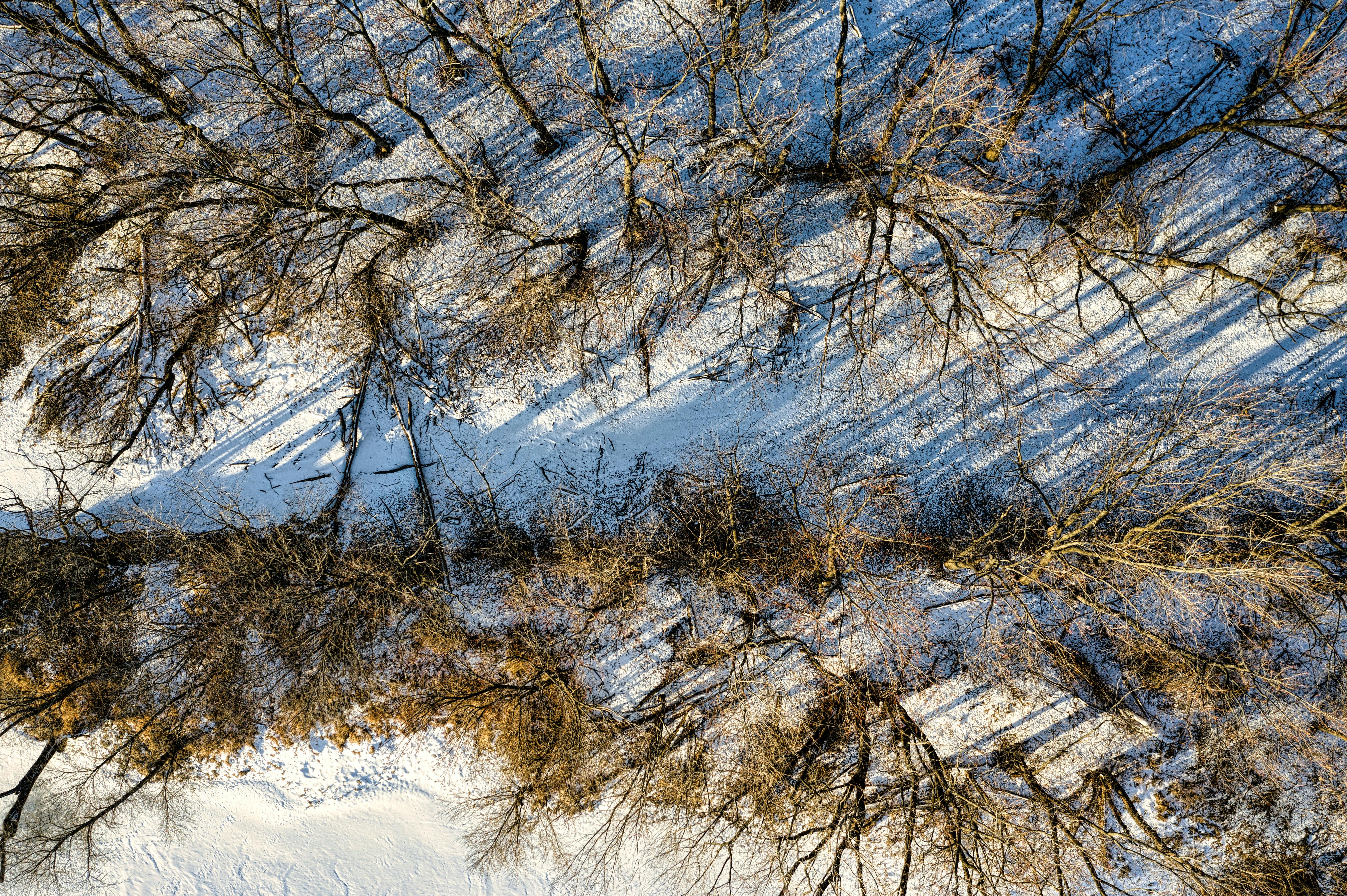 Aerial Photo of Snowy Field · Free Stock Photo