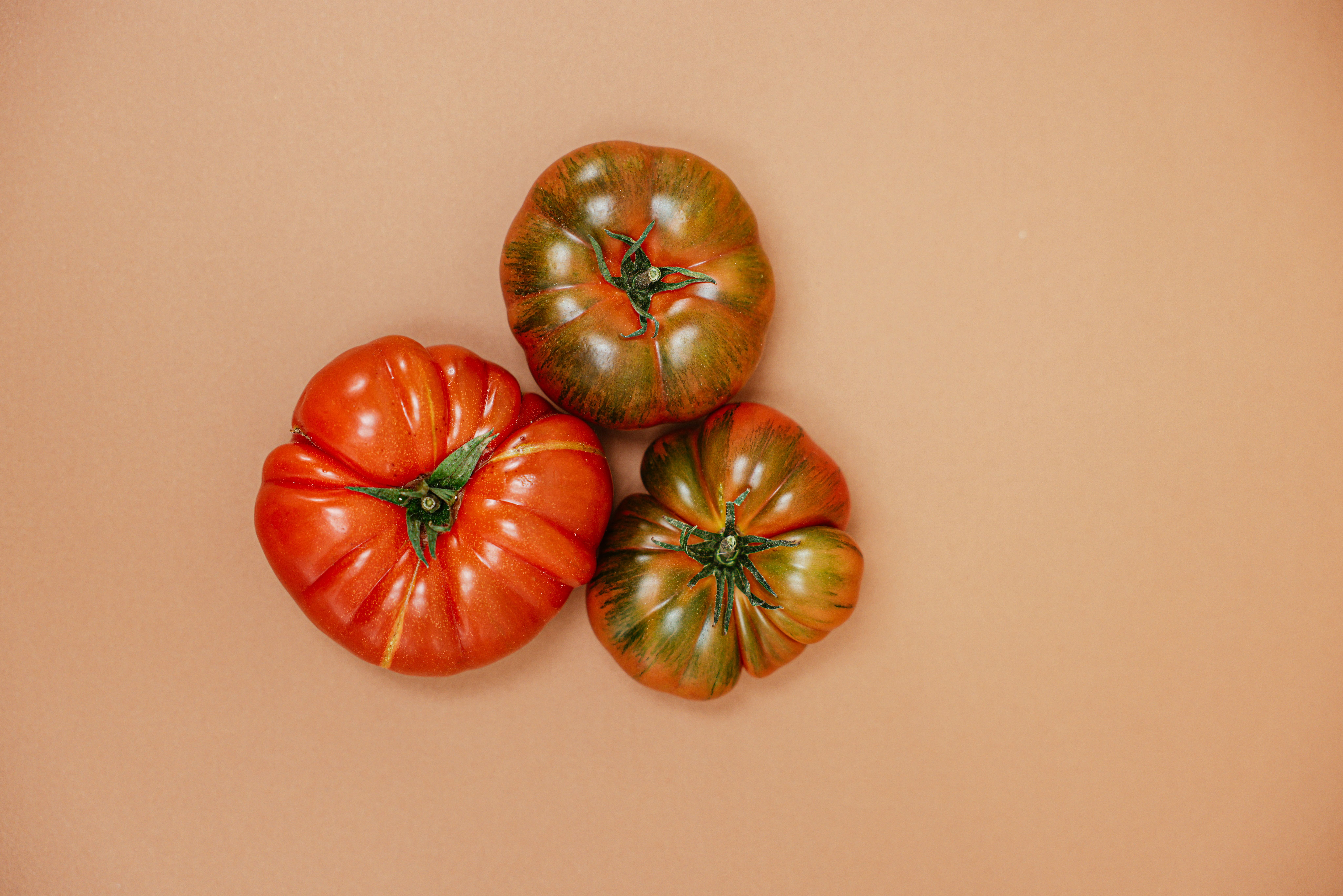 Tomatoes in Close-Up Photography · Free Stock Photo