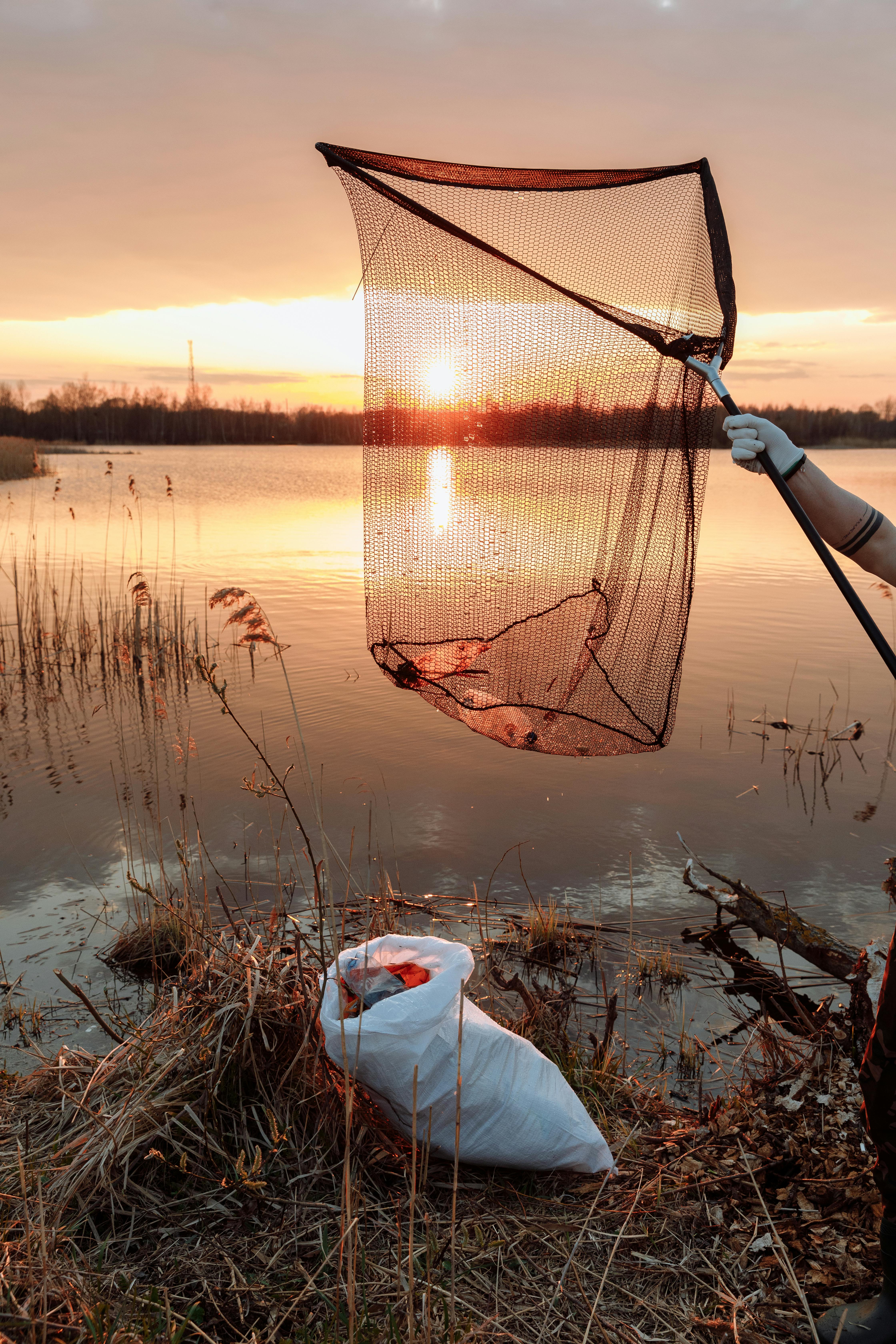 A Person Holding a Net · Free Stock Photo