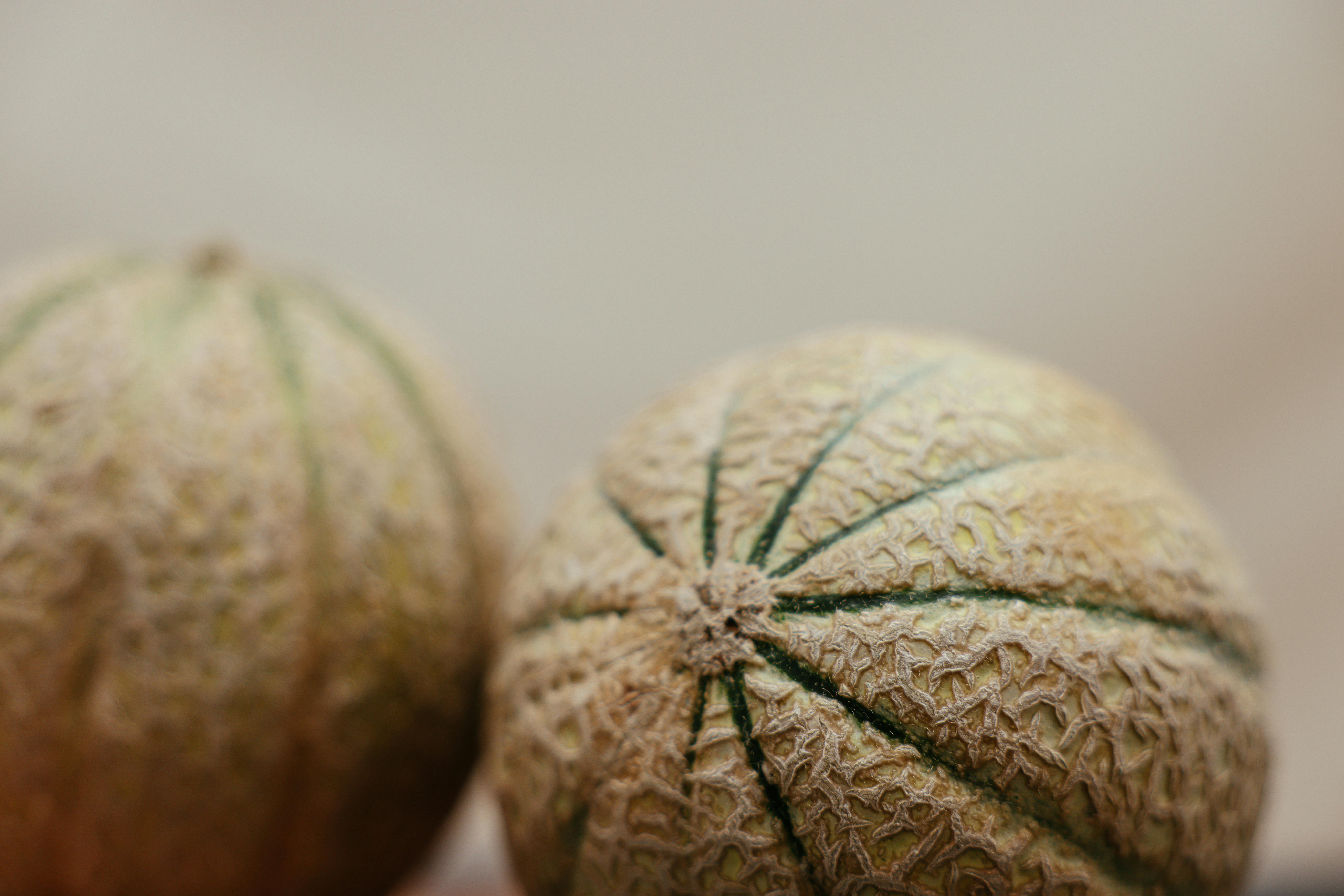 A Close-Up Shot of Melons · Free Stock Photo