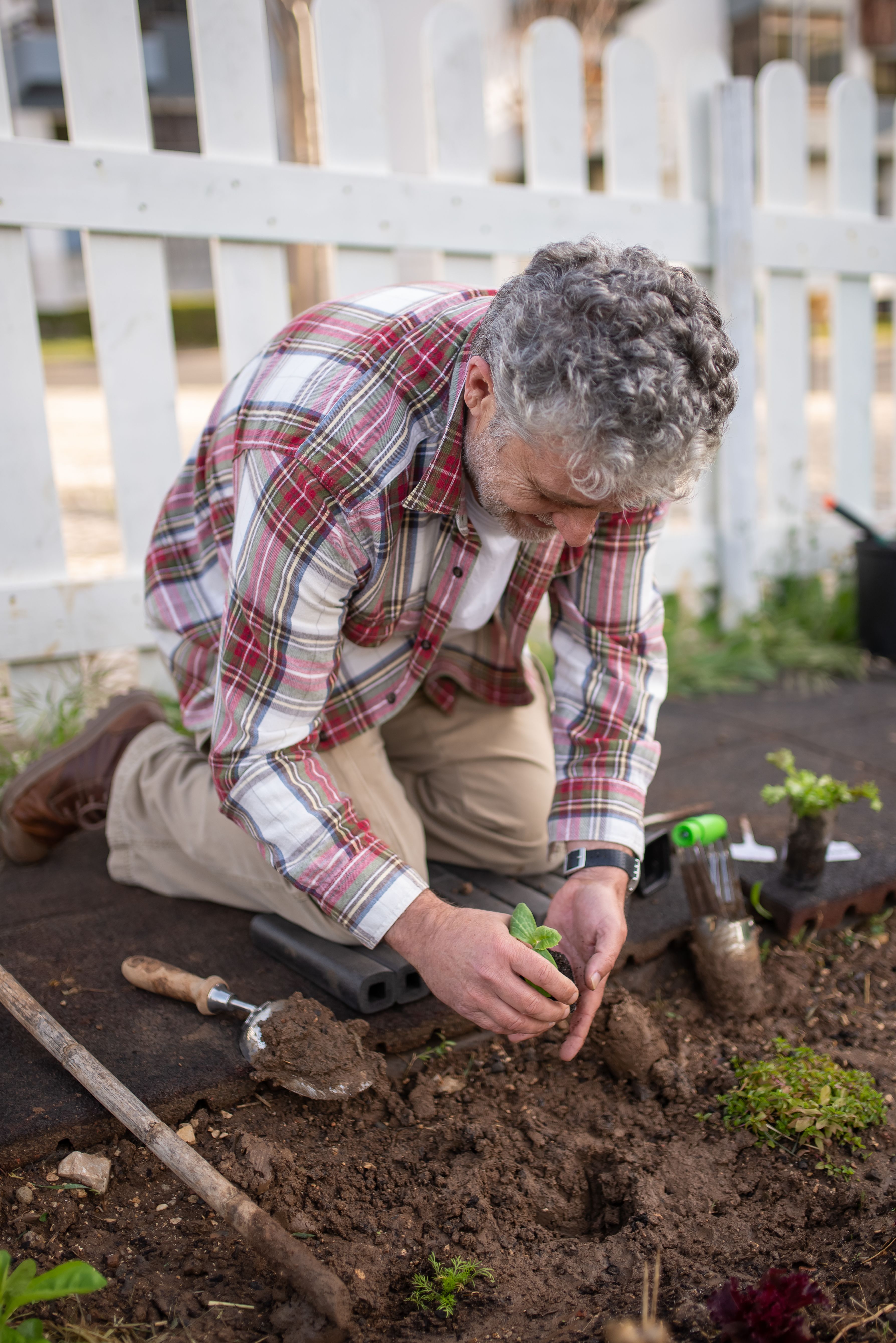 Person Planting a Replanting Plant · Free Stock Photo