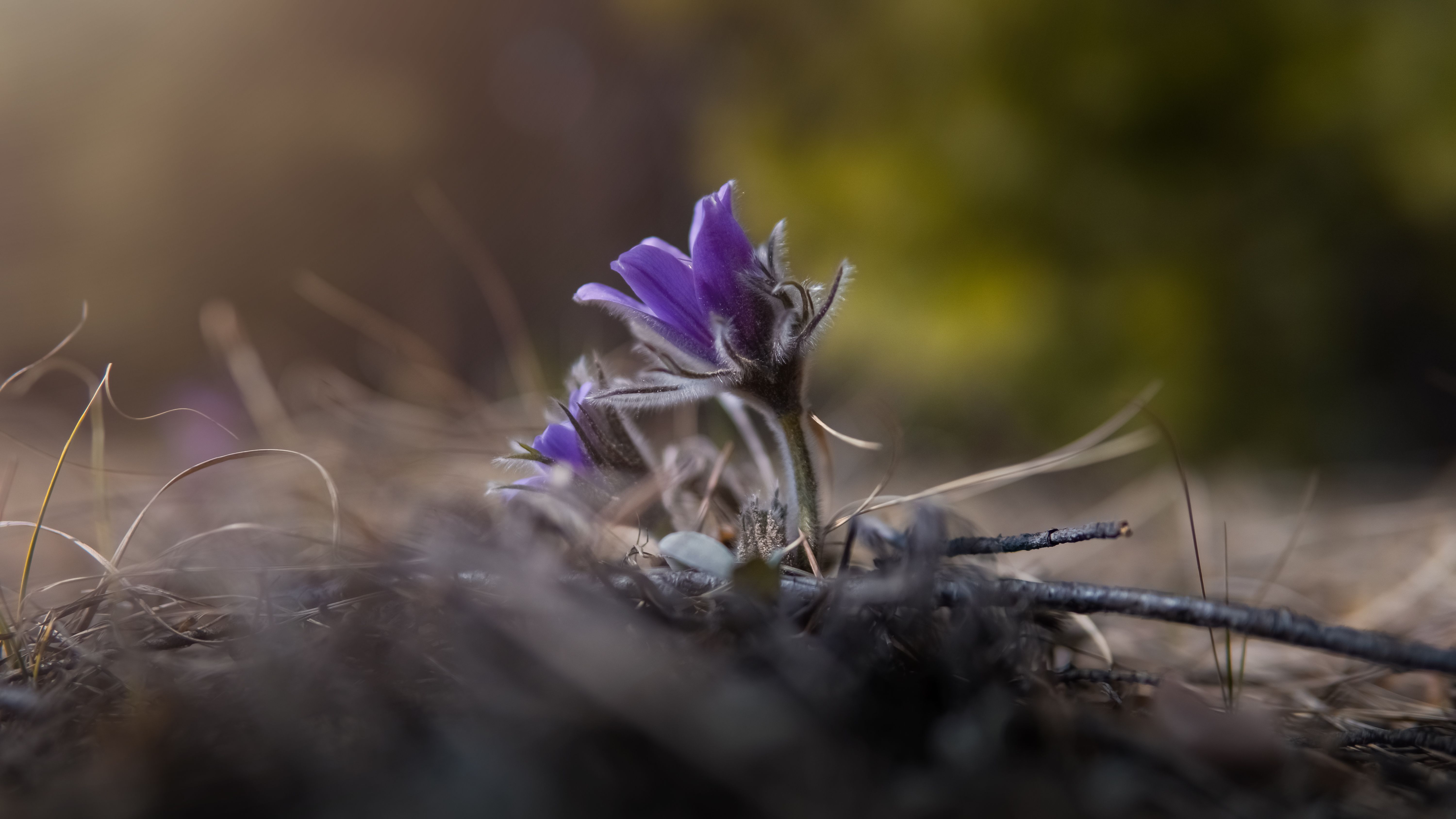 Dmitry Demidov · Photography