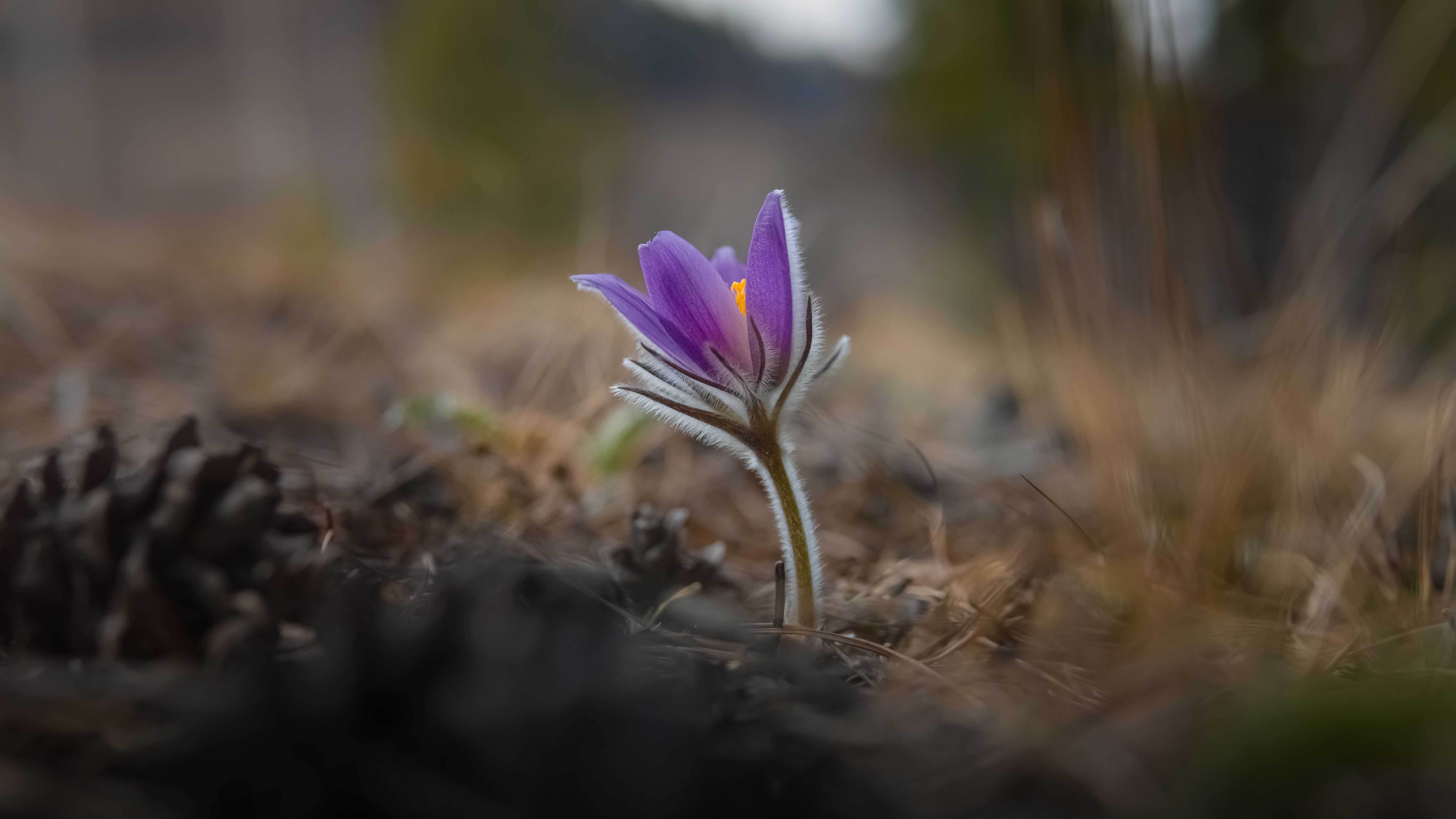 Dmitry Demidov · Photography