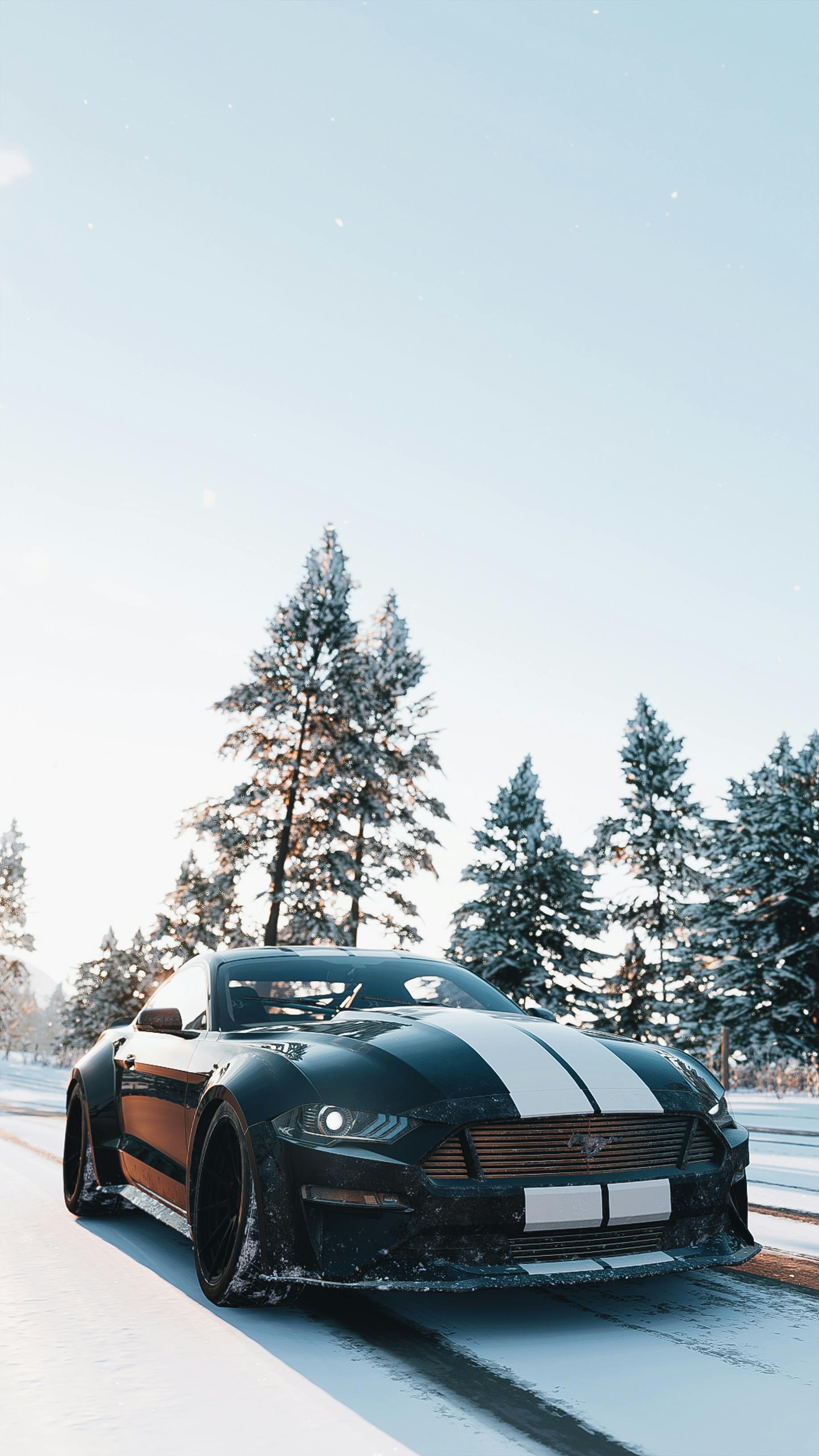 Black Mustang on a Snow · Free Stock Photo
