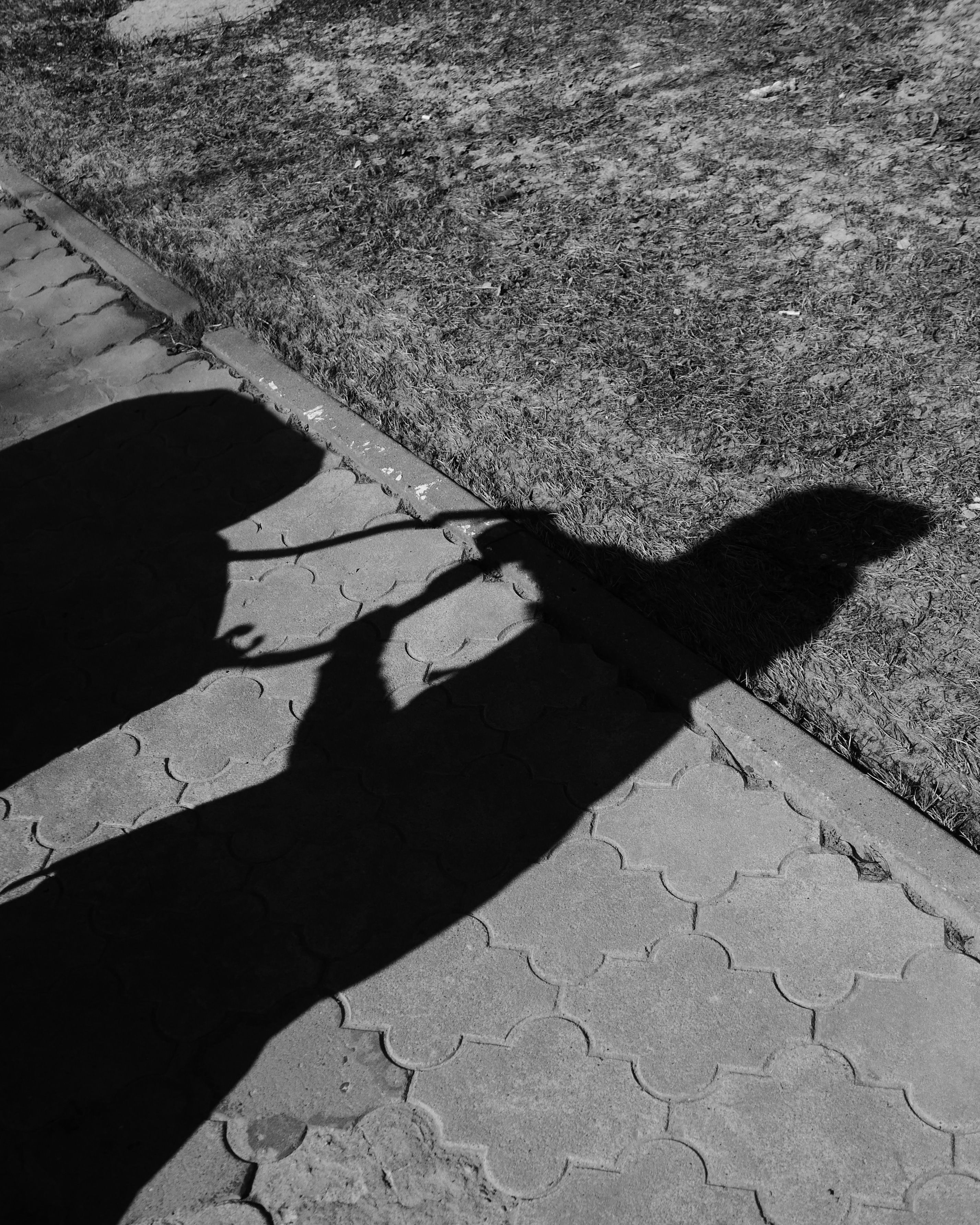 Grayscale Photo of a Person Standing · Free Stock Photo