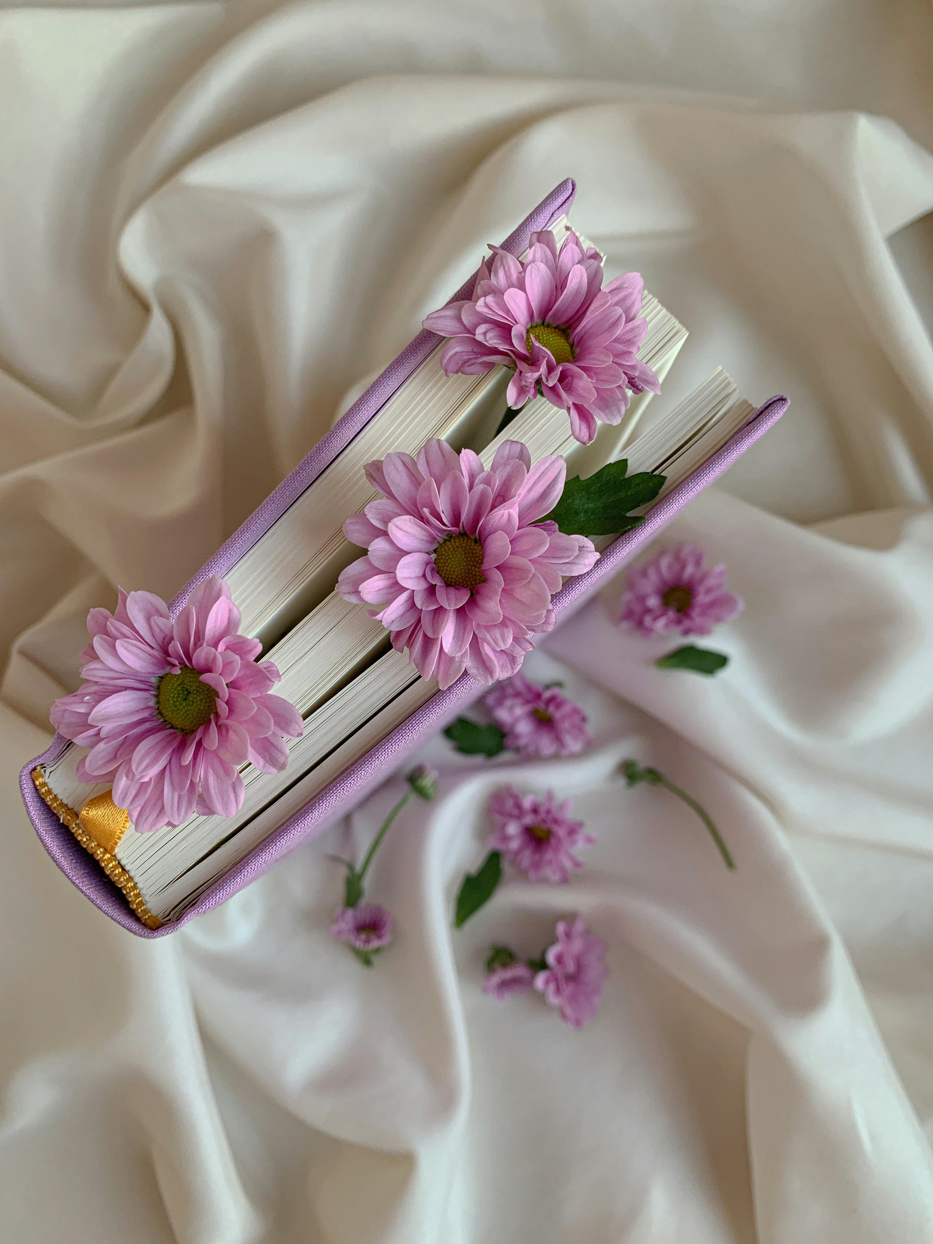 Purple Flowers on a Book · Free Stock Photo