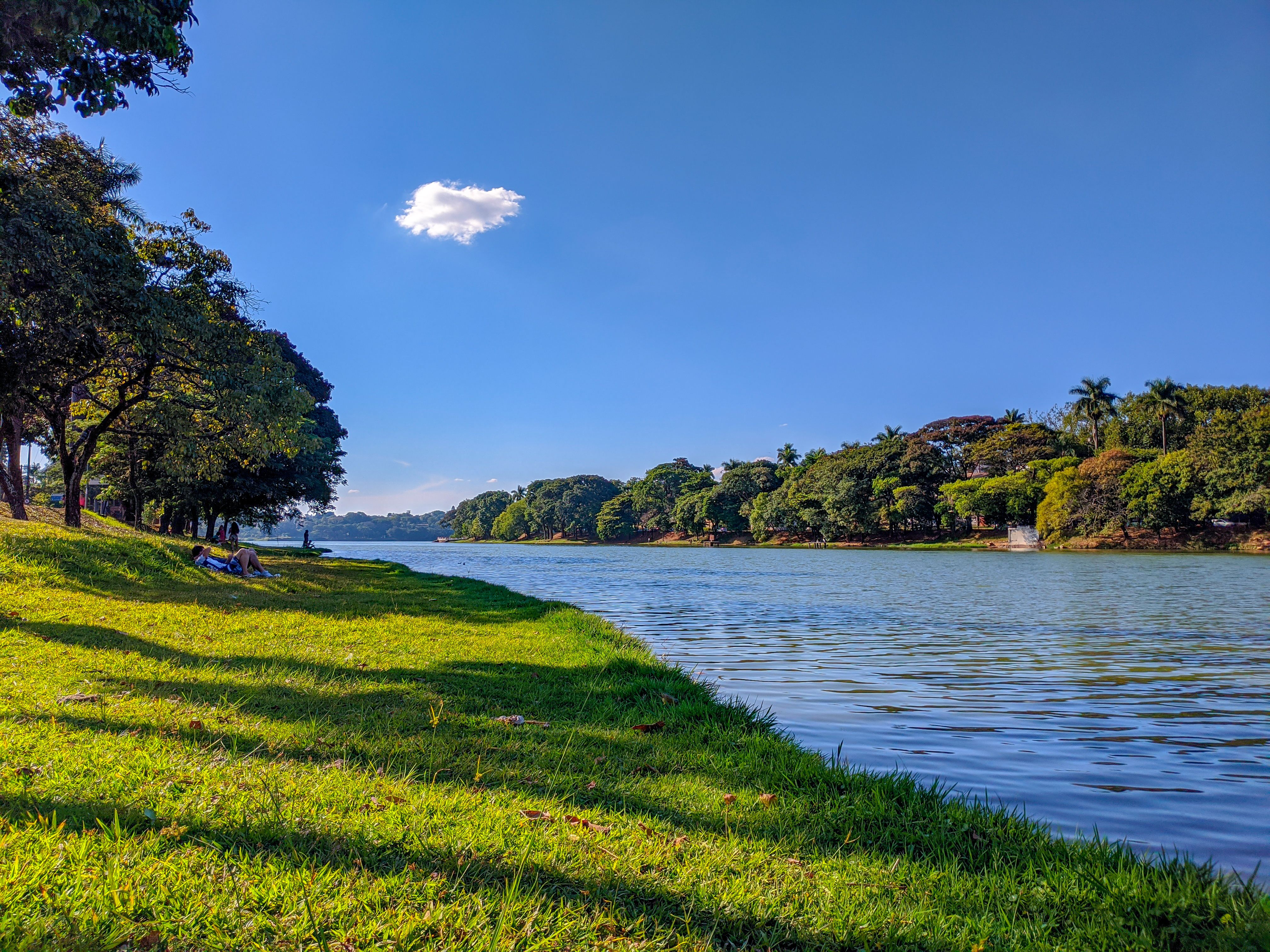 Photo of Green Grass Near a River · Free Stock Photo