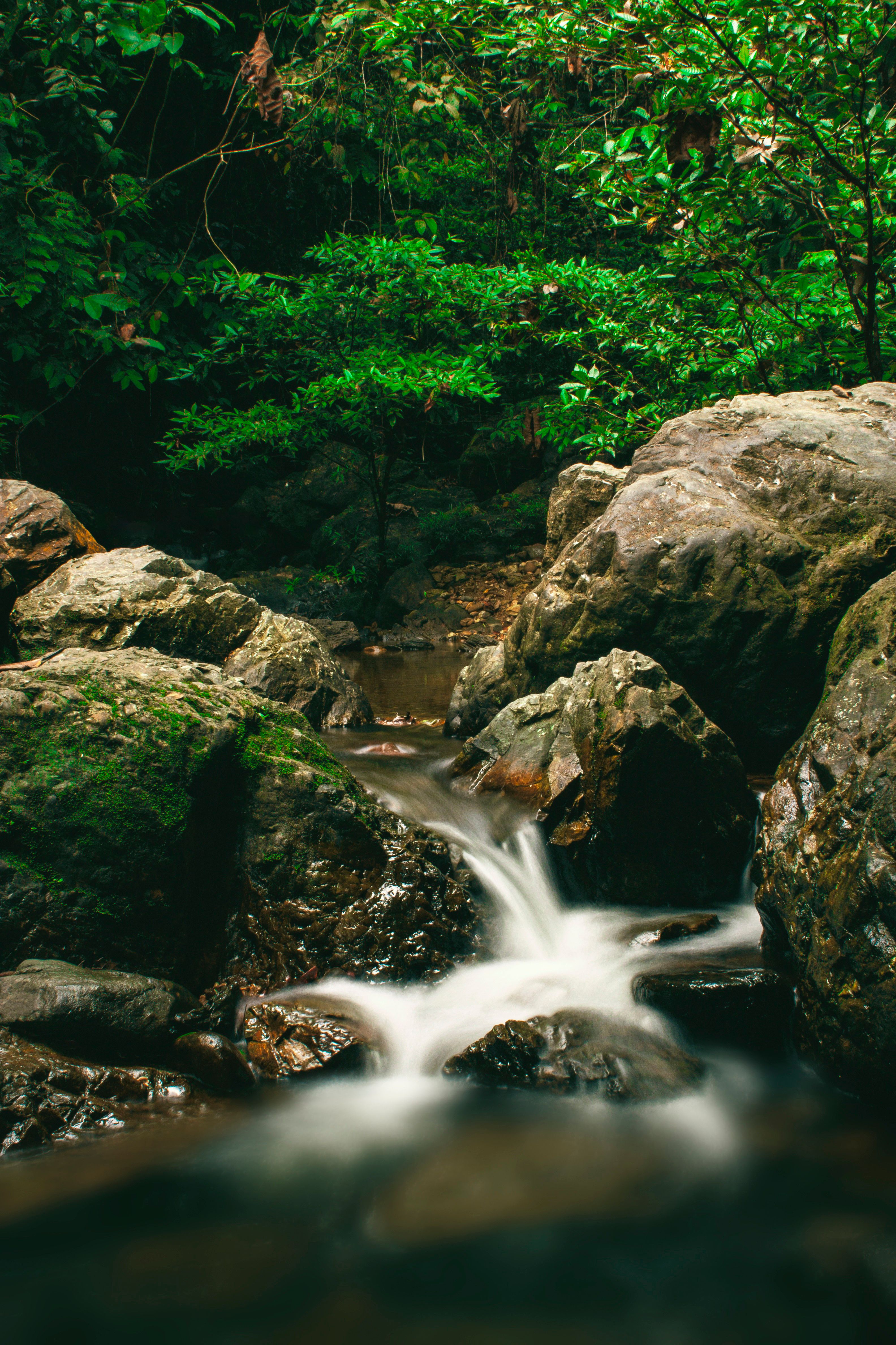Flowing Brook Photos, Download The BEST Free Flowing Brook Stock Photos ...