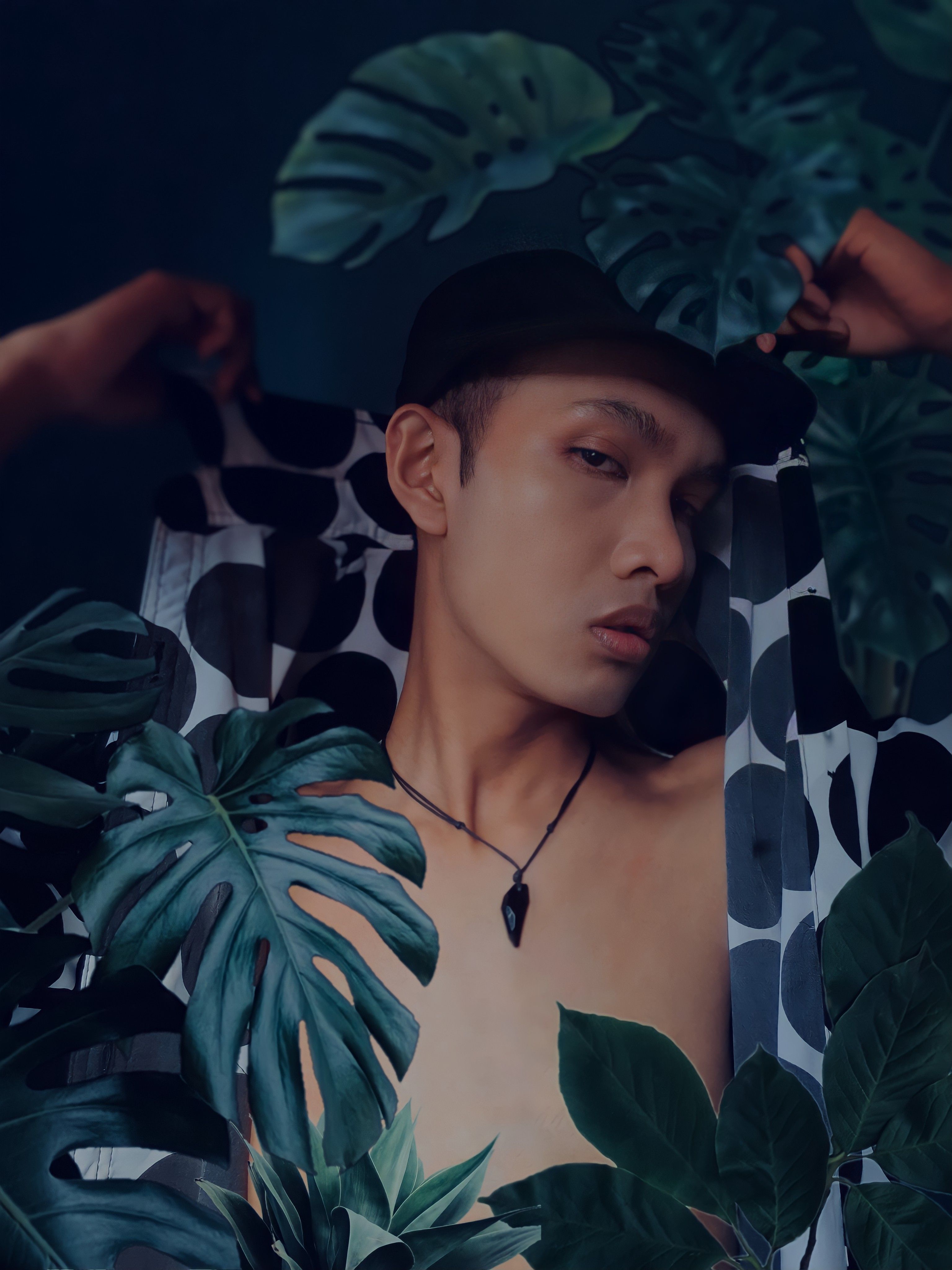 Monstera Portrait Photos, Download The BEST Free Monstera Portrait ...