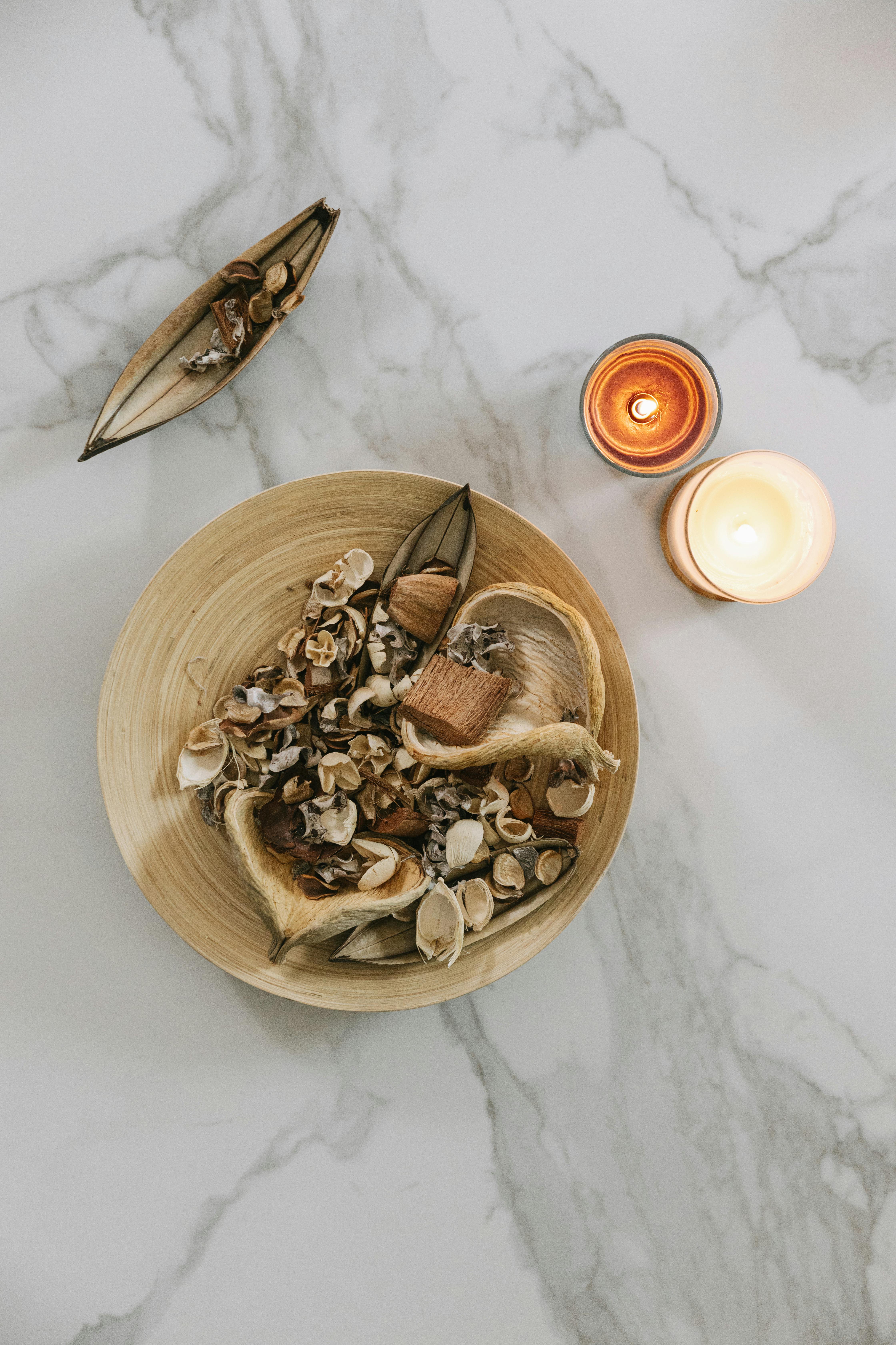 Nutshell Material Photos, Download The BEST Free Nutshell Material ...