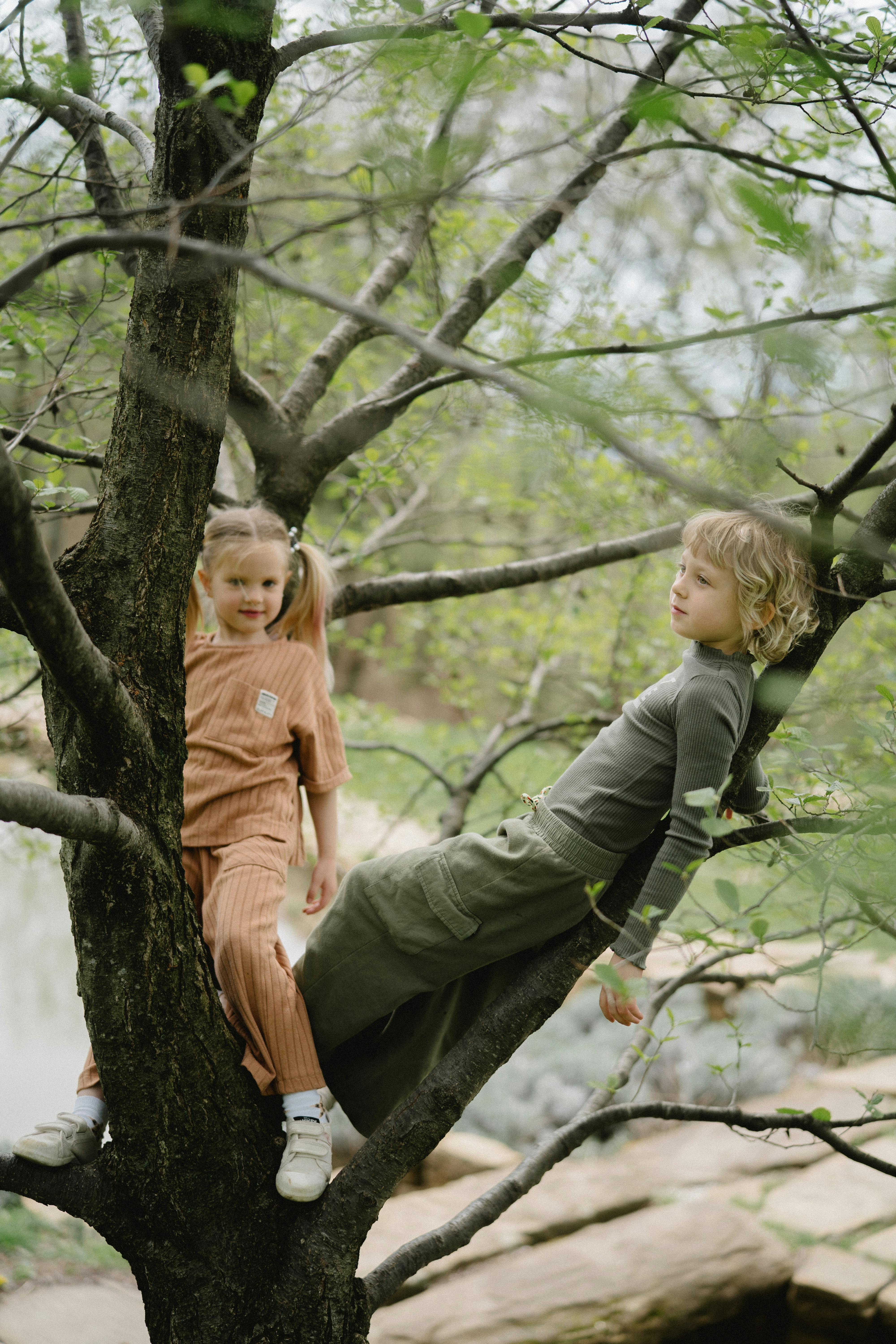 Kids Resting in Tree Branches · Free Stock Photo