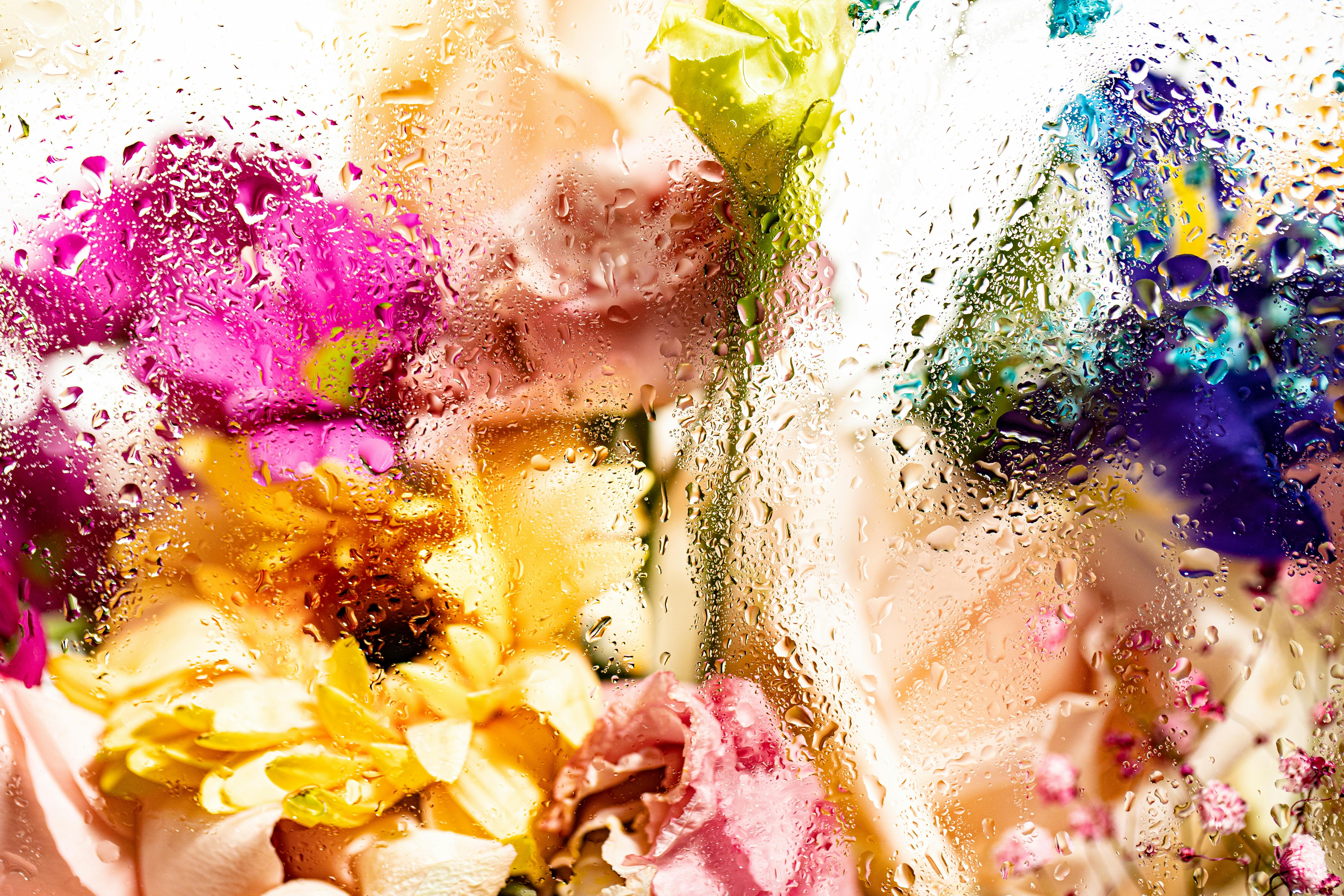 Bouquet of Flowers Behind a Glass Window · Free Stock Photo