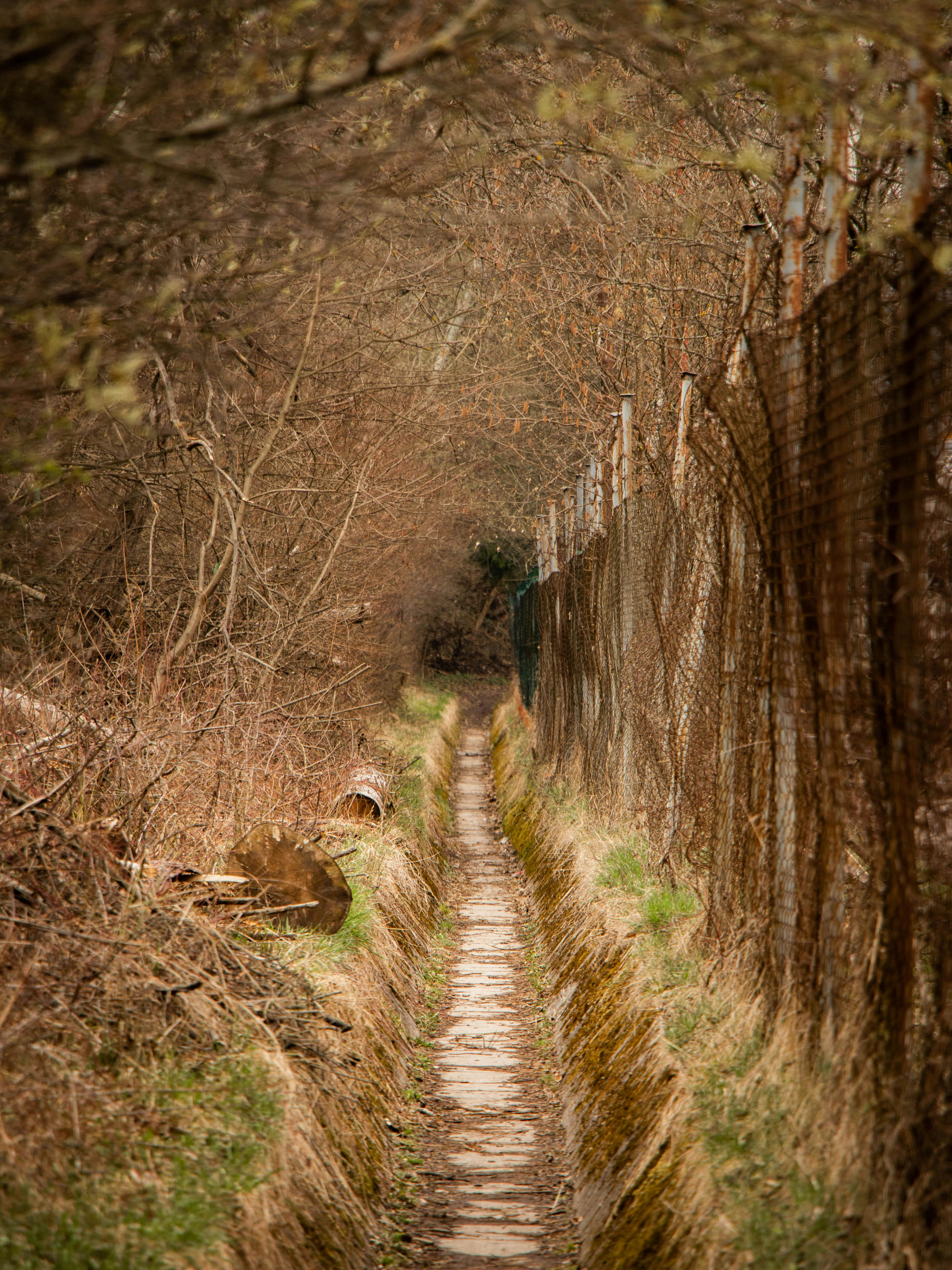 A Pathway beside a Wire Mesh Fence · Free Stock Photo