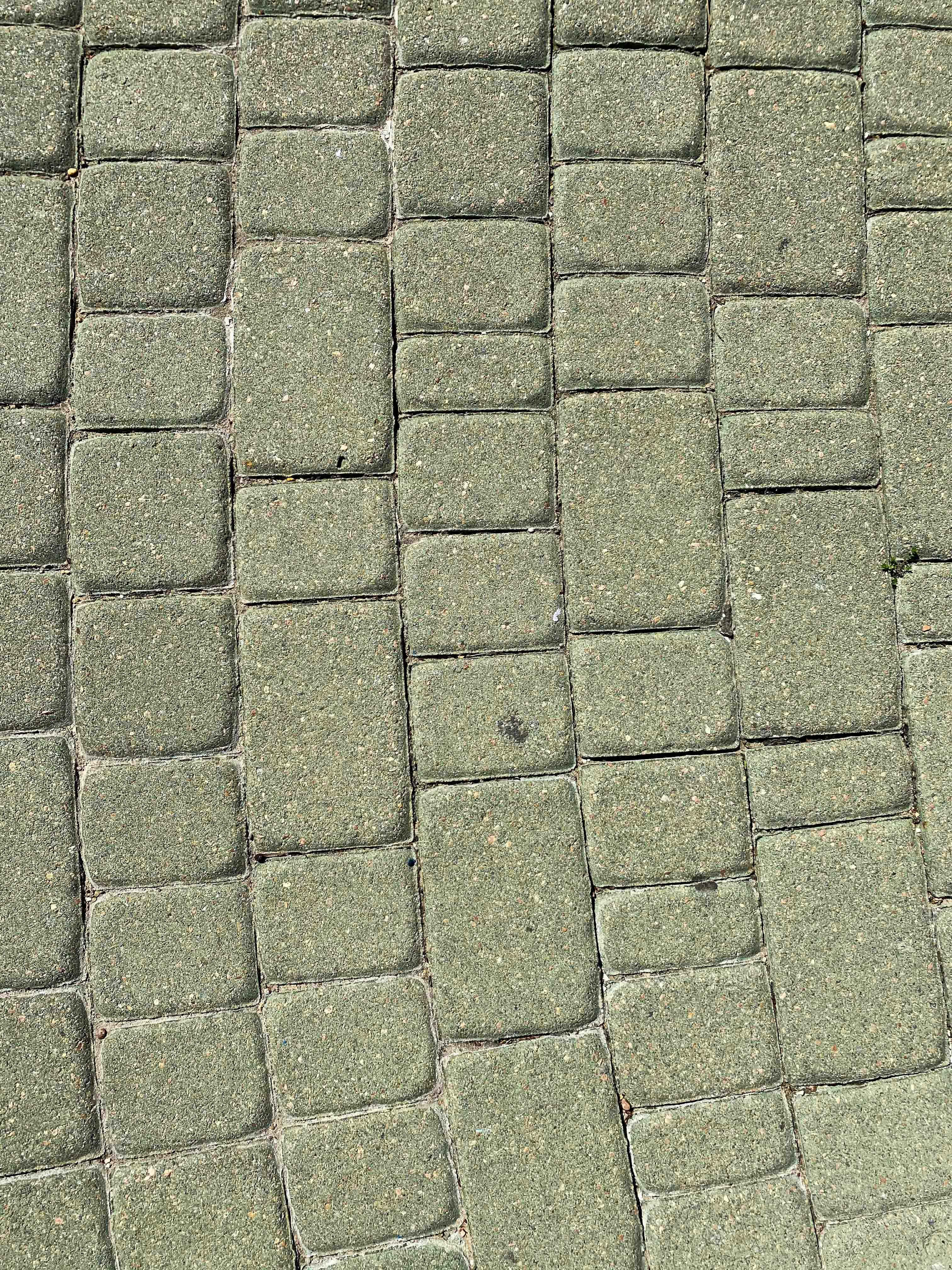 Path Way Texture Photos, Download The BEST Free Path Way Texture Stock ...