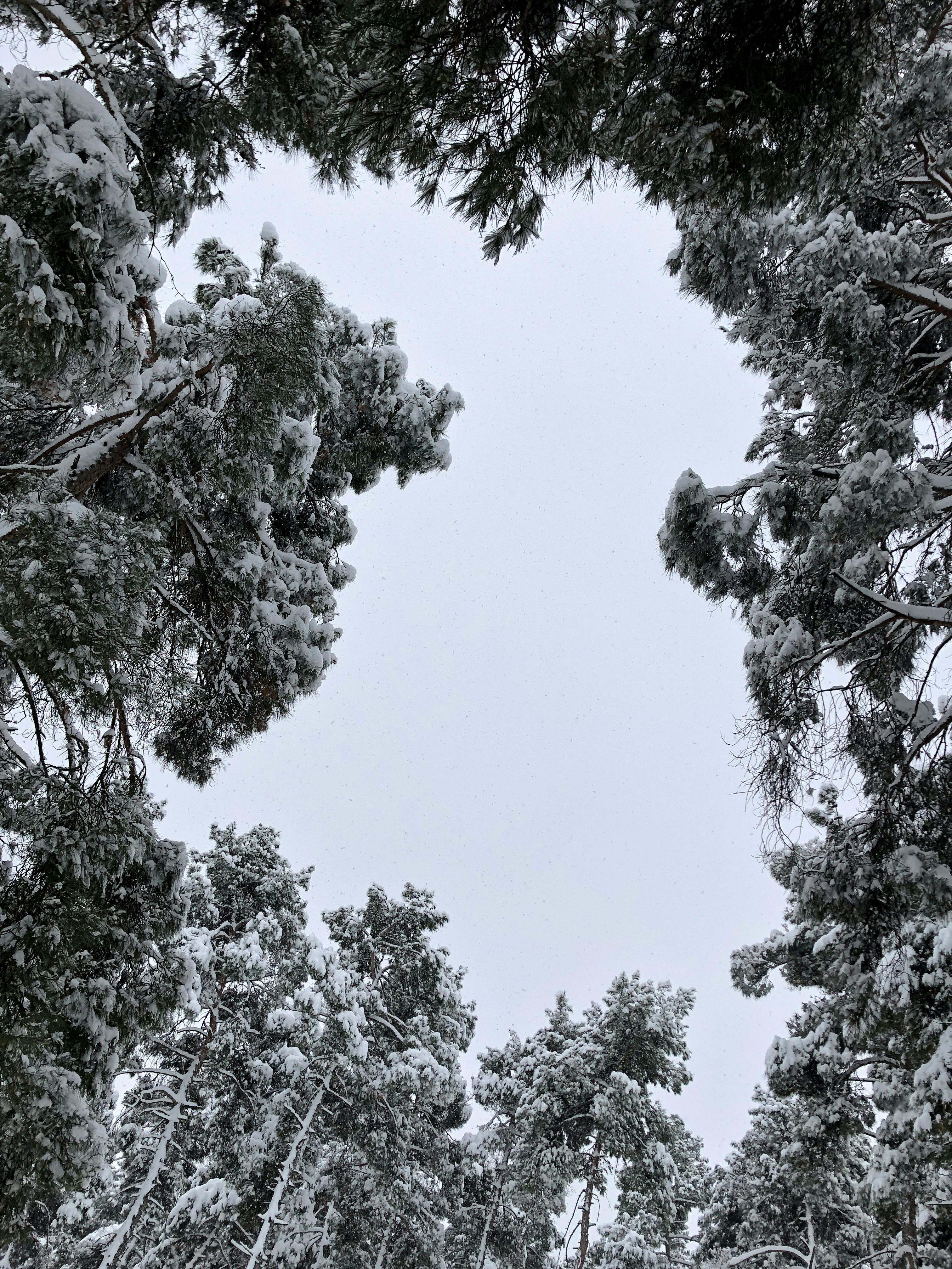 Alfie Sta - Photography