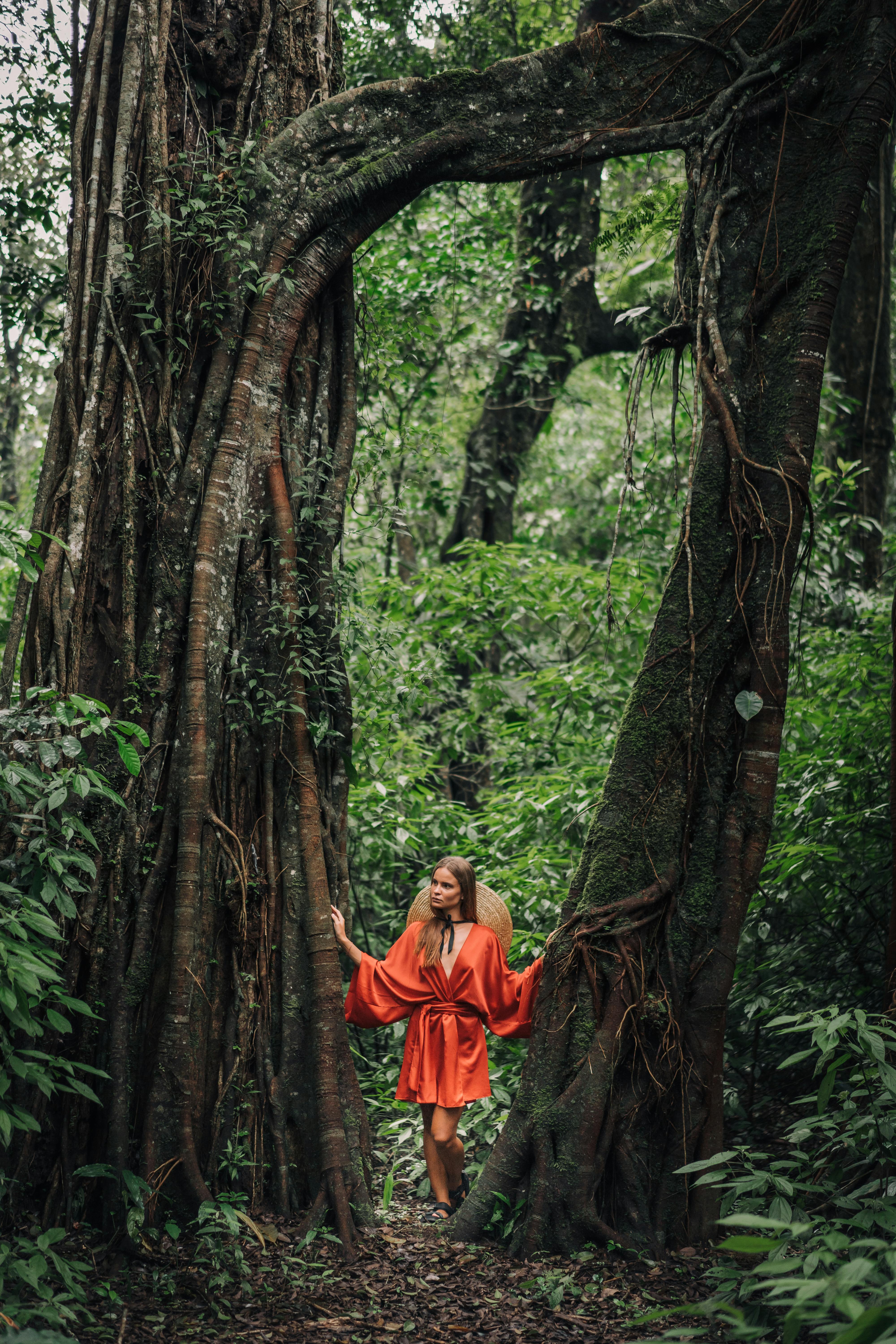 Woman Standing Between Tall Tress · Free Stock Photo