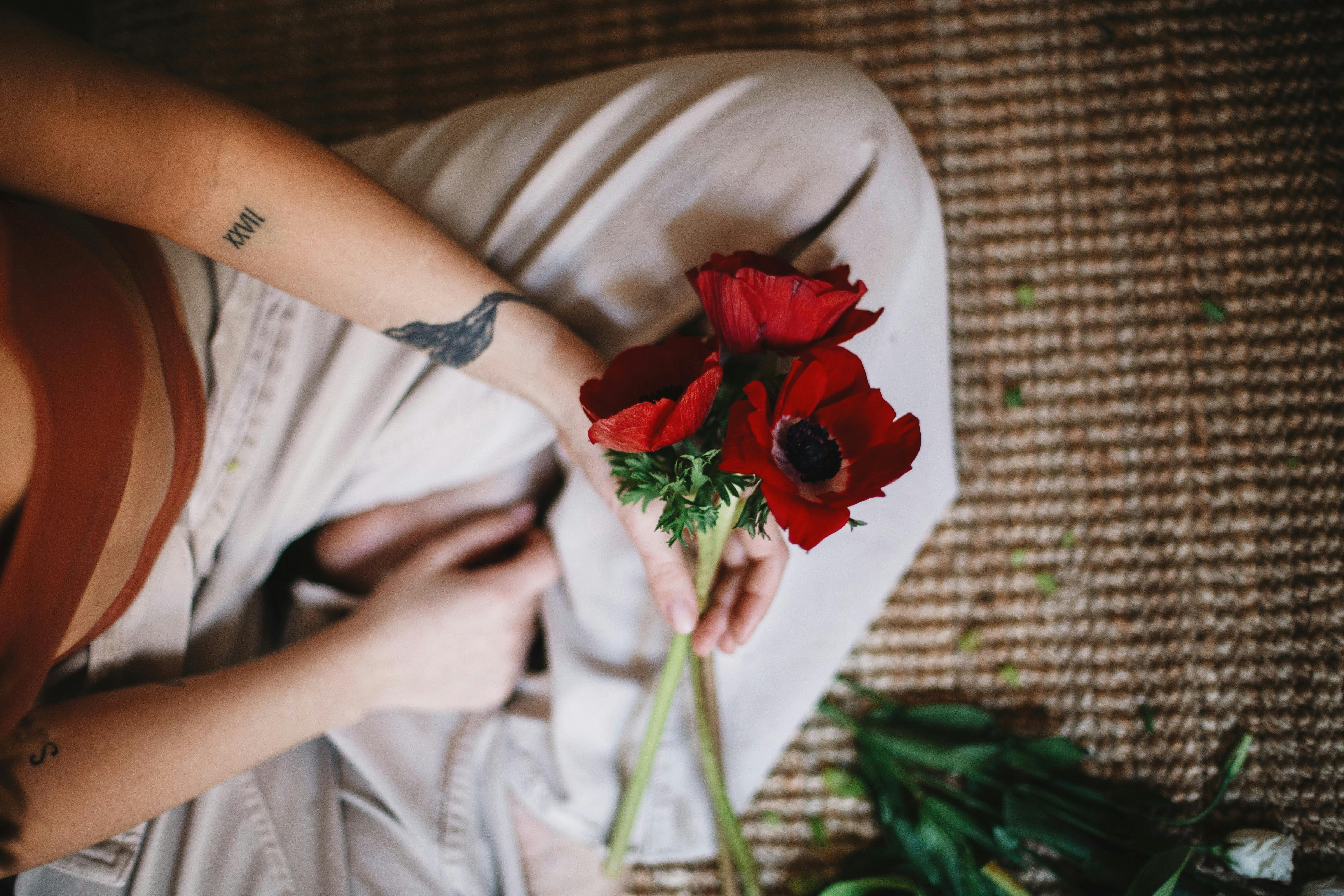 Crop person with poppies in hand · Free Stock Photo