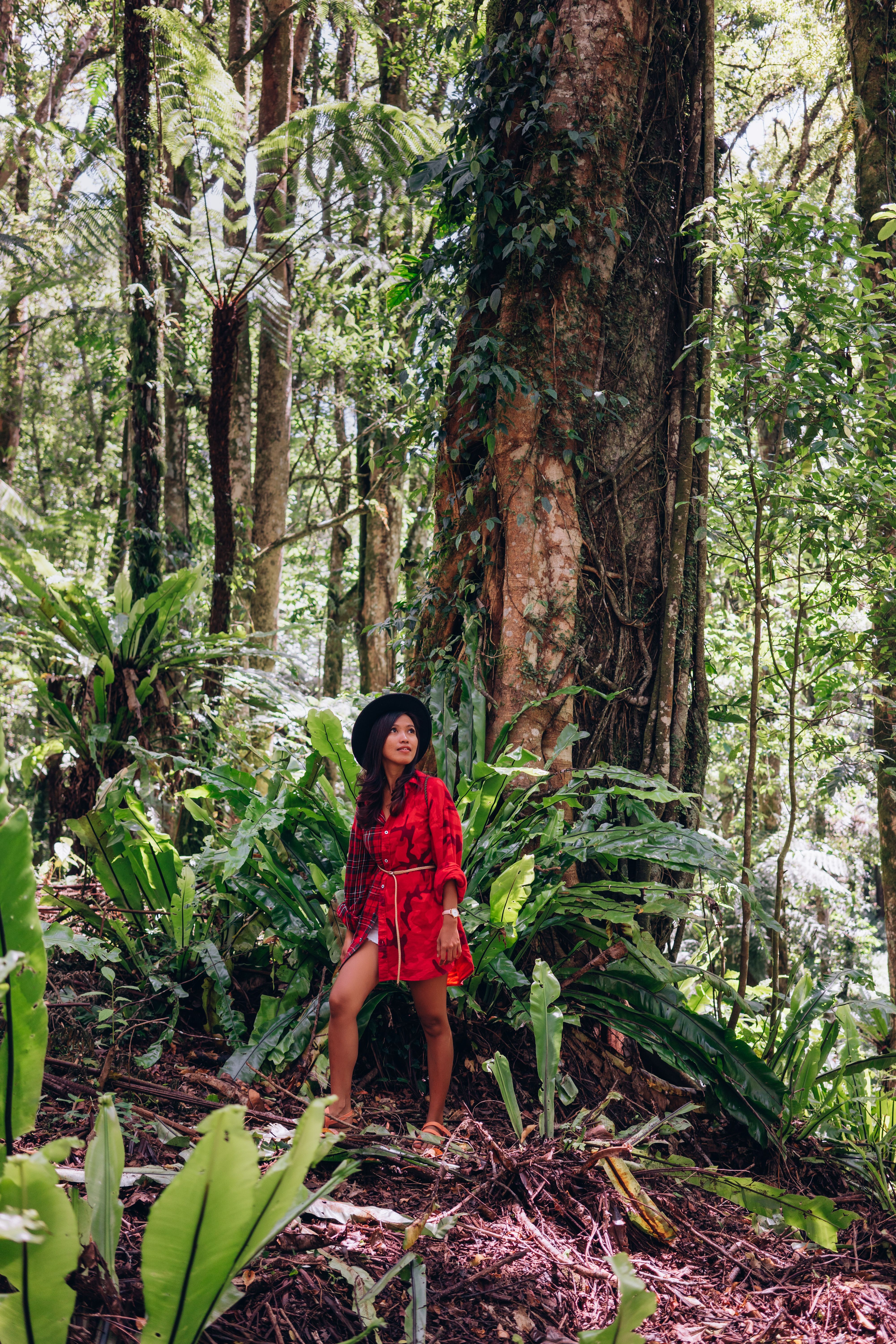 People Standing Under the Tree · Free Stock Photo
