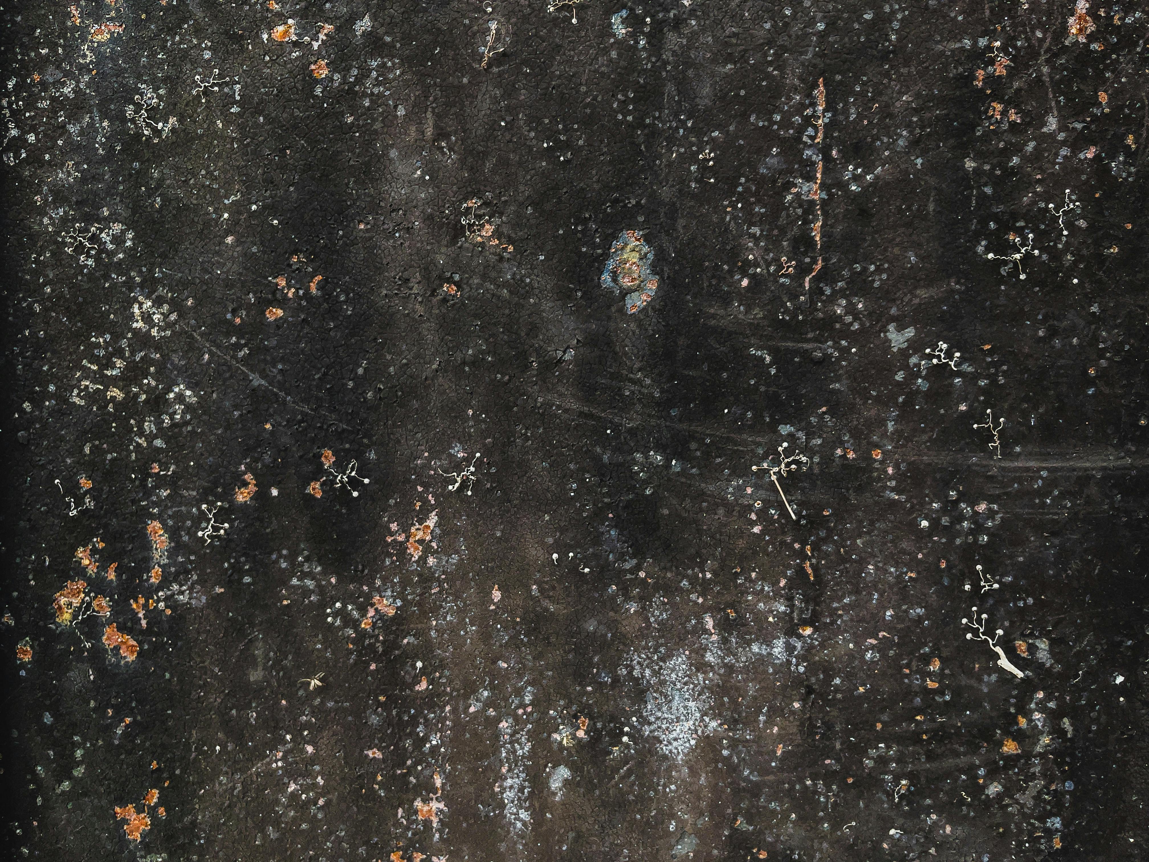 White Dust Particles on Black Background · Free Stock Photo