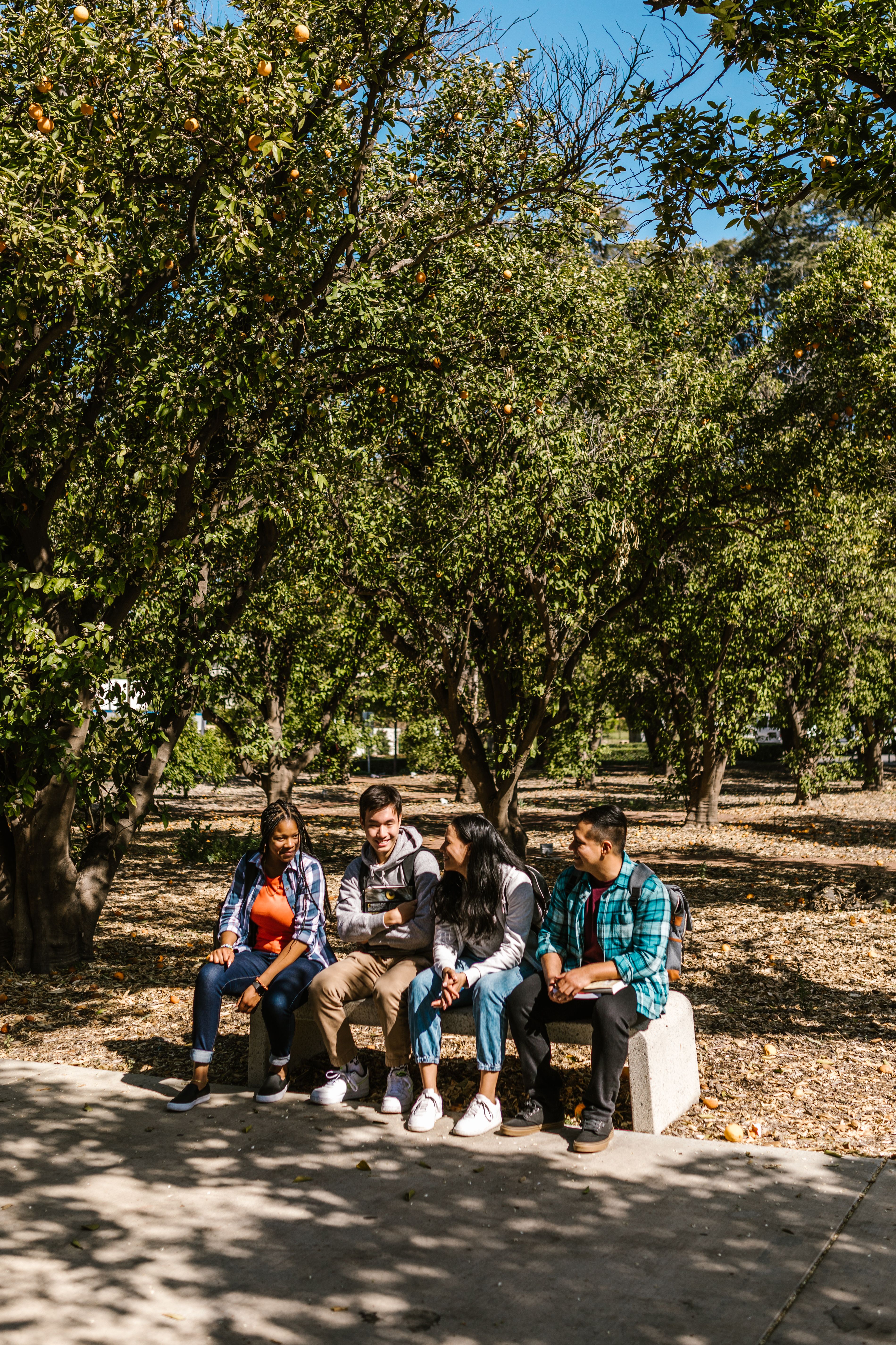 College Students In Fall Season Photos, Download The BEST Free College ...