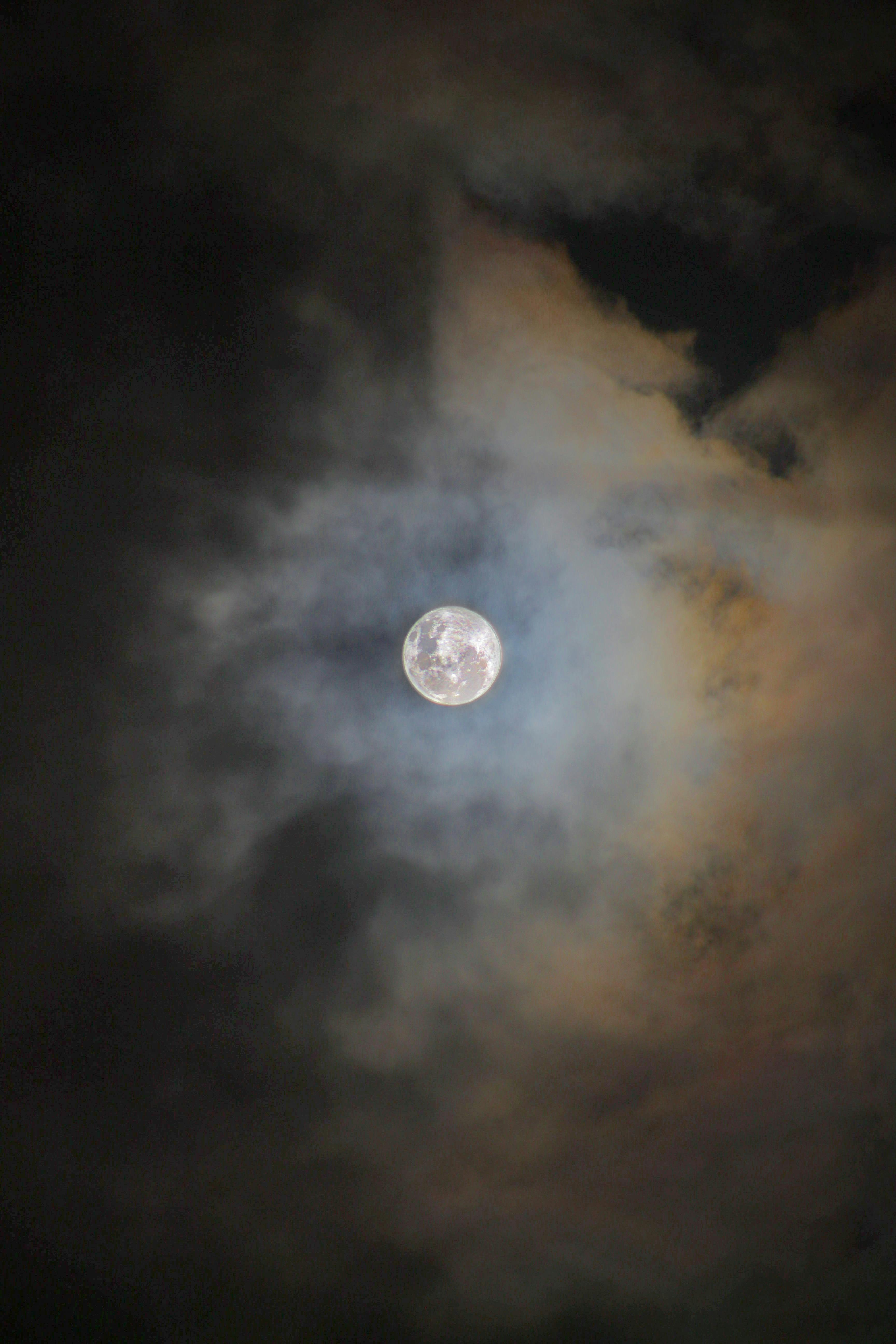 Full Moon in the Night Sky · Free Stock Photo