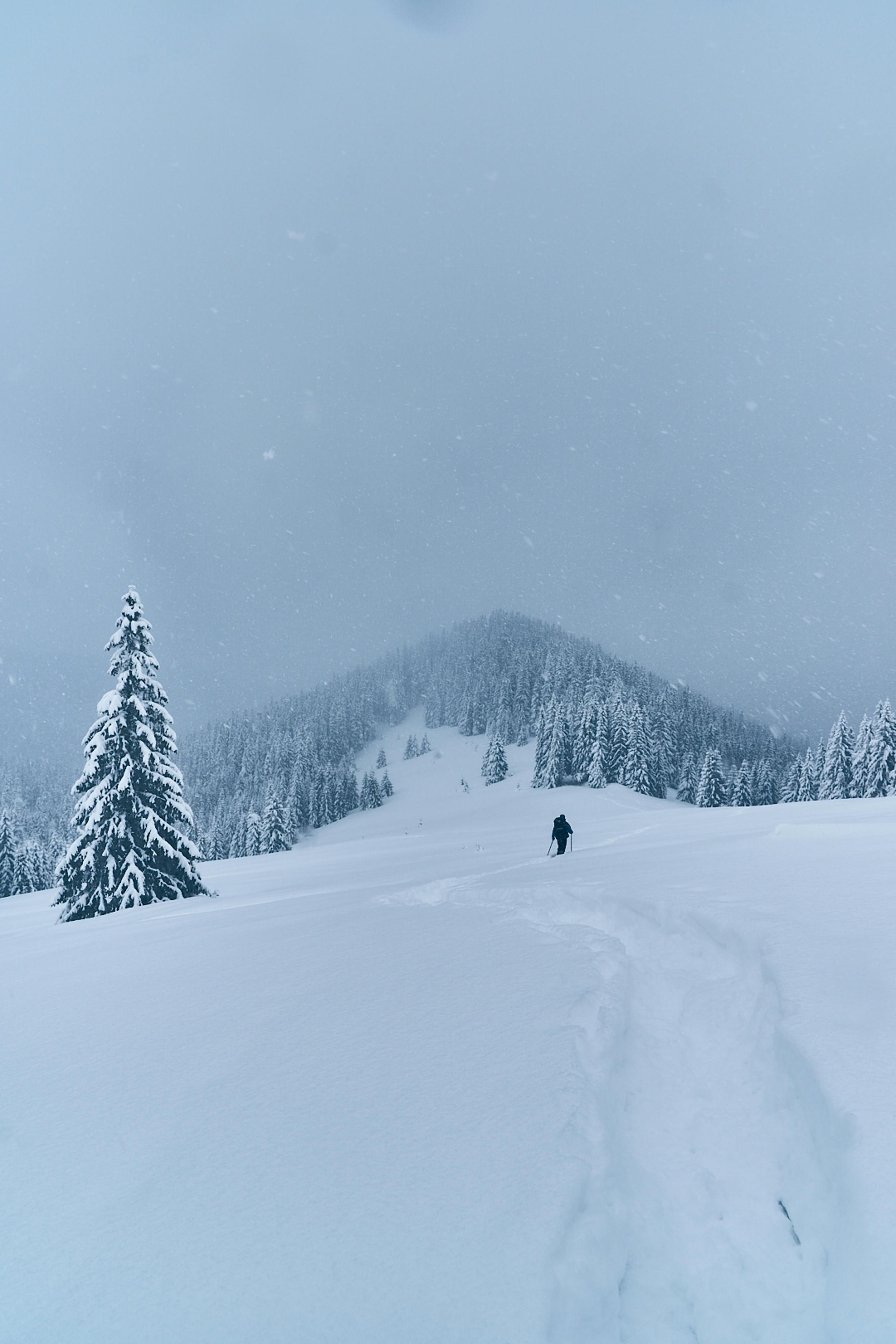 Trace Screen Photos, Download The BEST Free Trace Screen Stock Photos ...