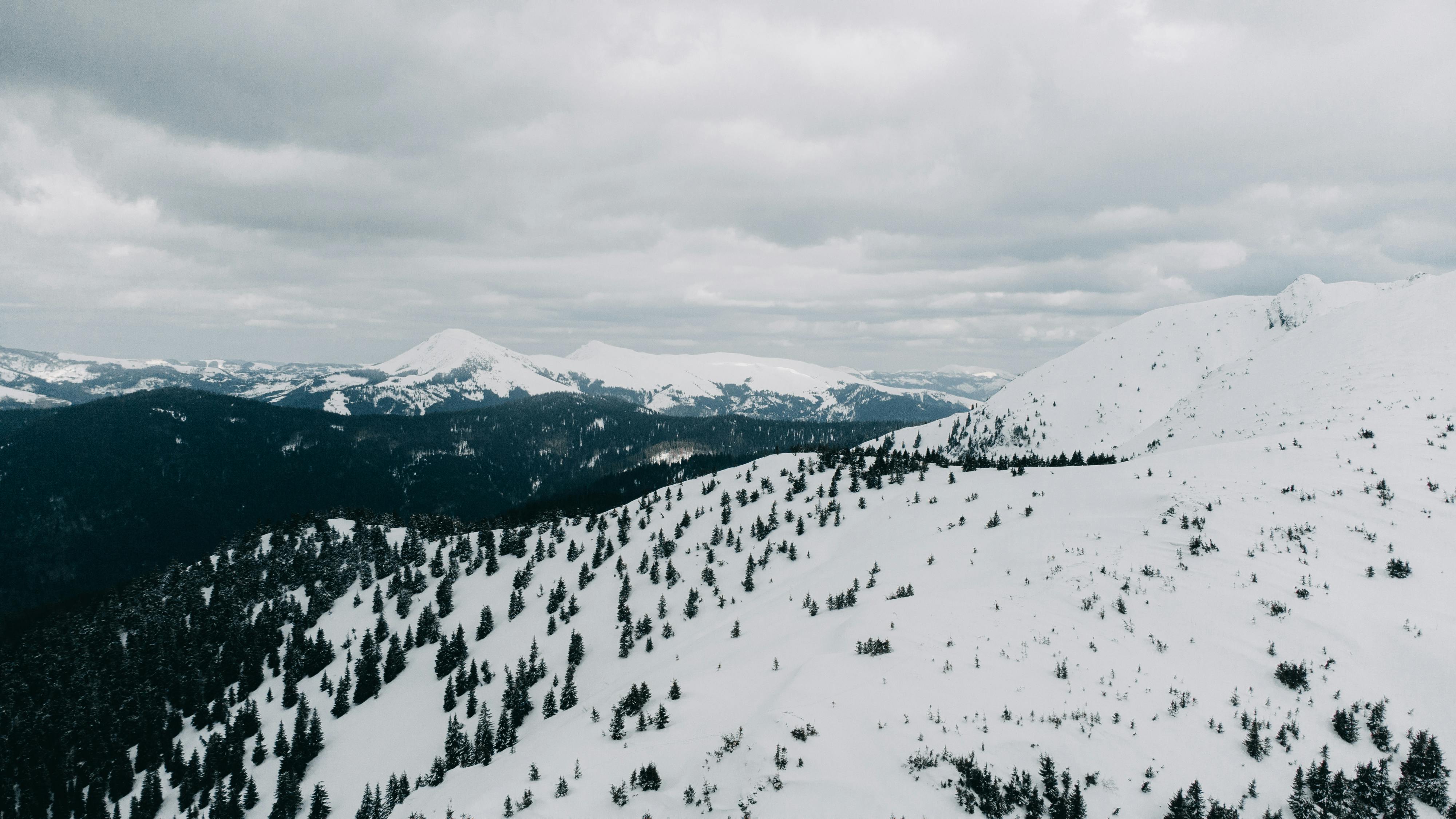 Overcast over Mountains and Forest · Free Stock Photo
