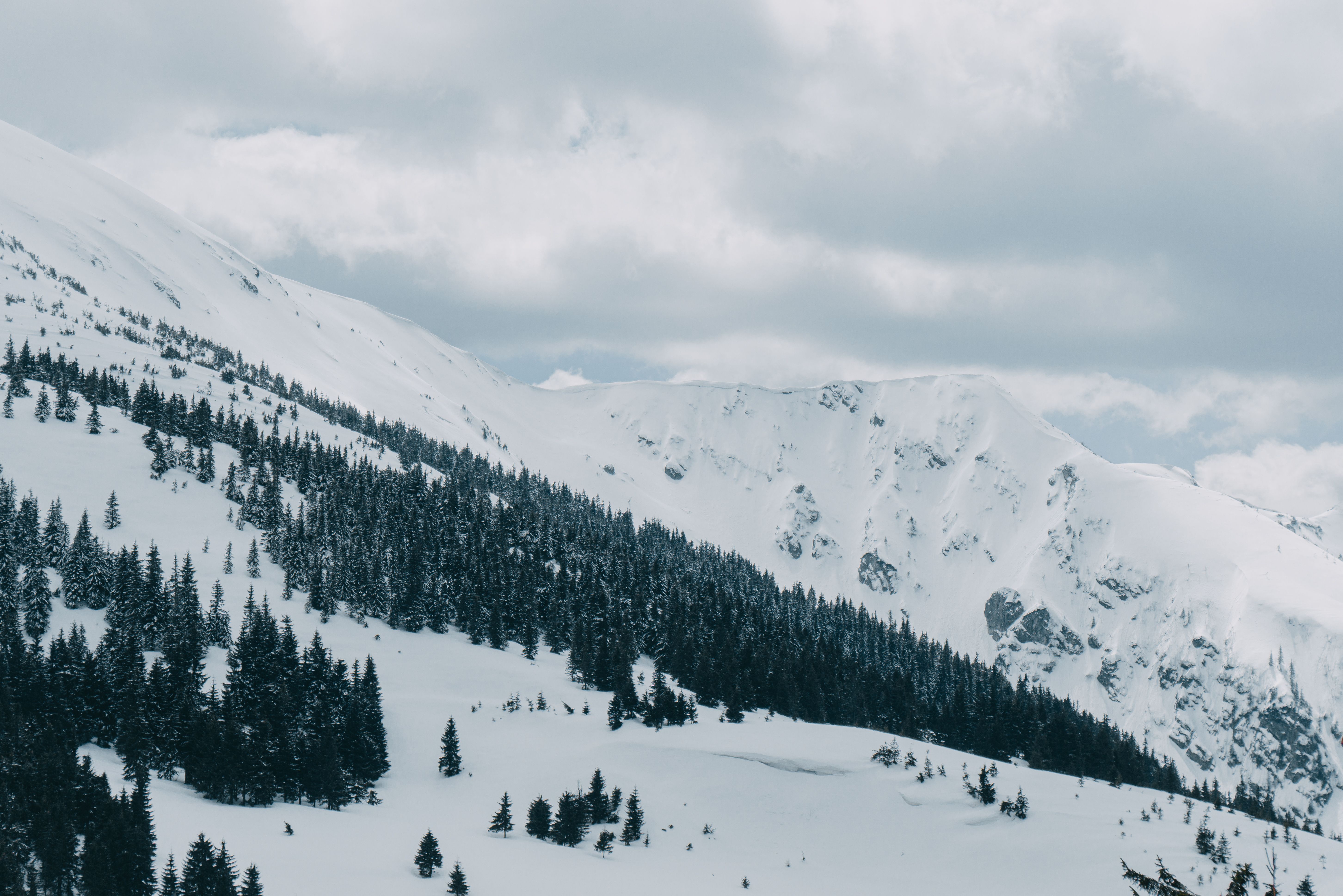 Vista Panorámica De La Montaña Nevada · Foto de stock gratuita