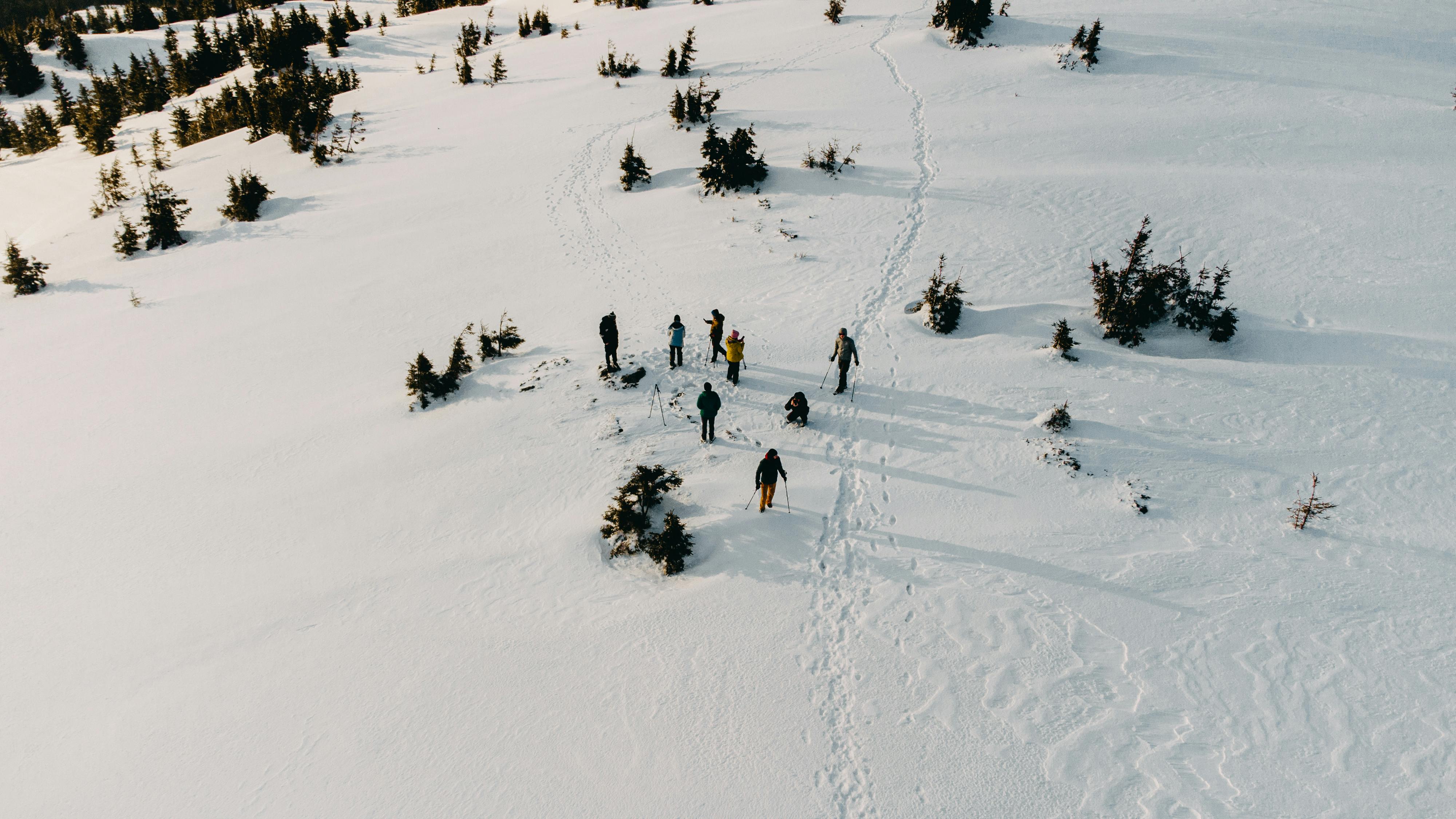 People on Snow · Free Stock Photo