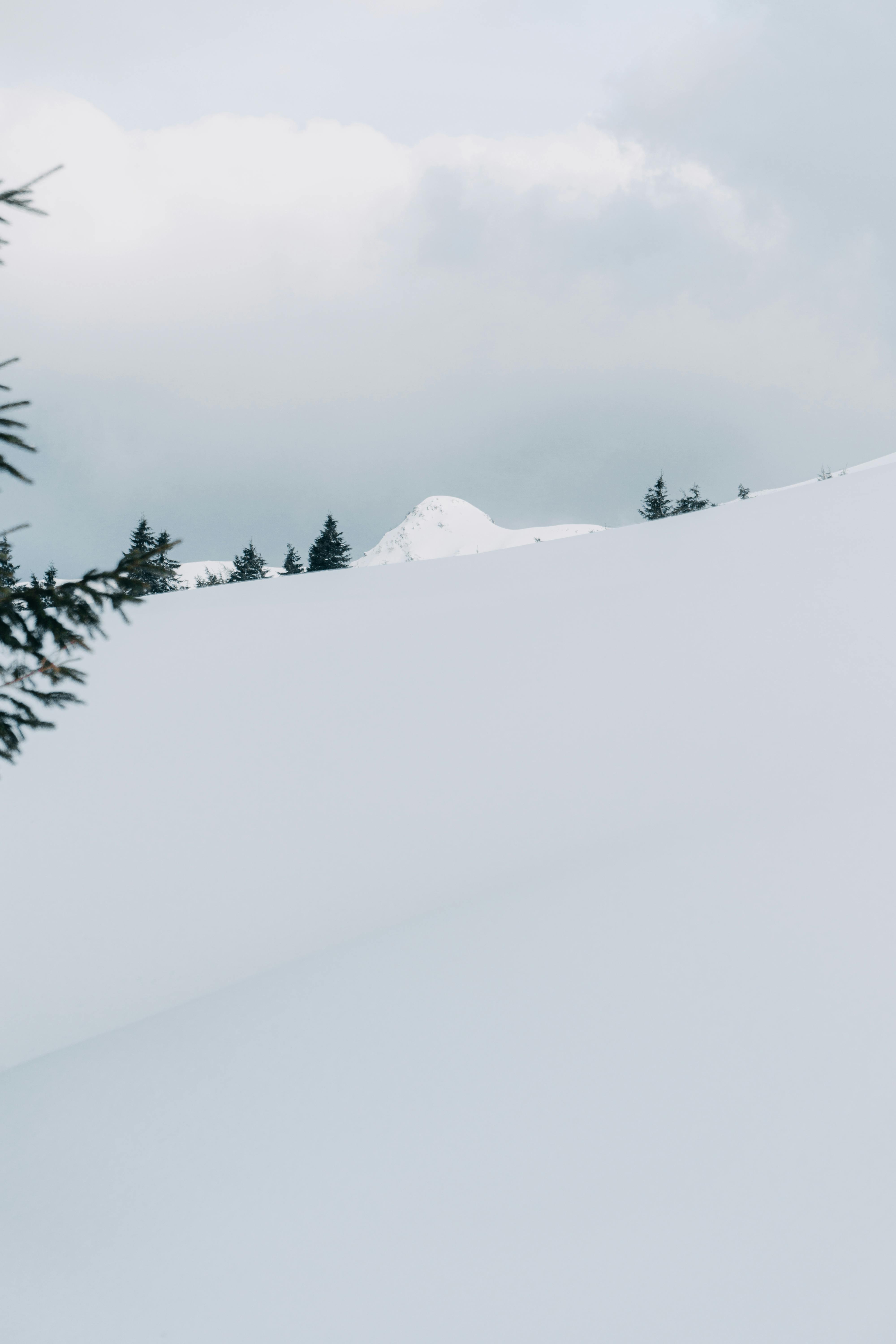 Snow on Hill · Free Stock Photo