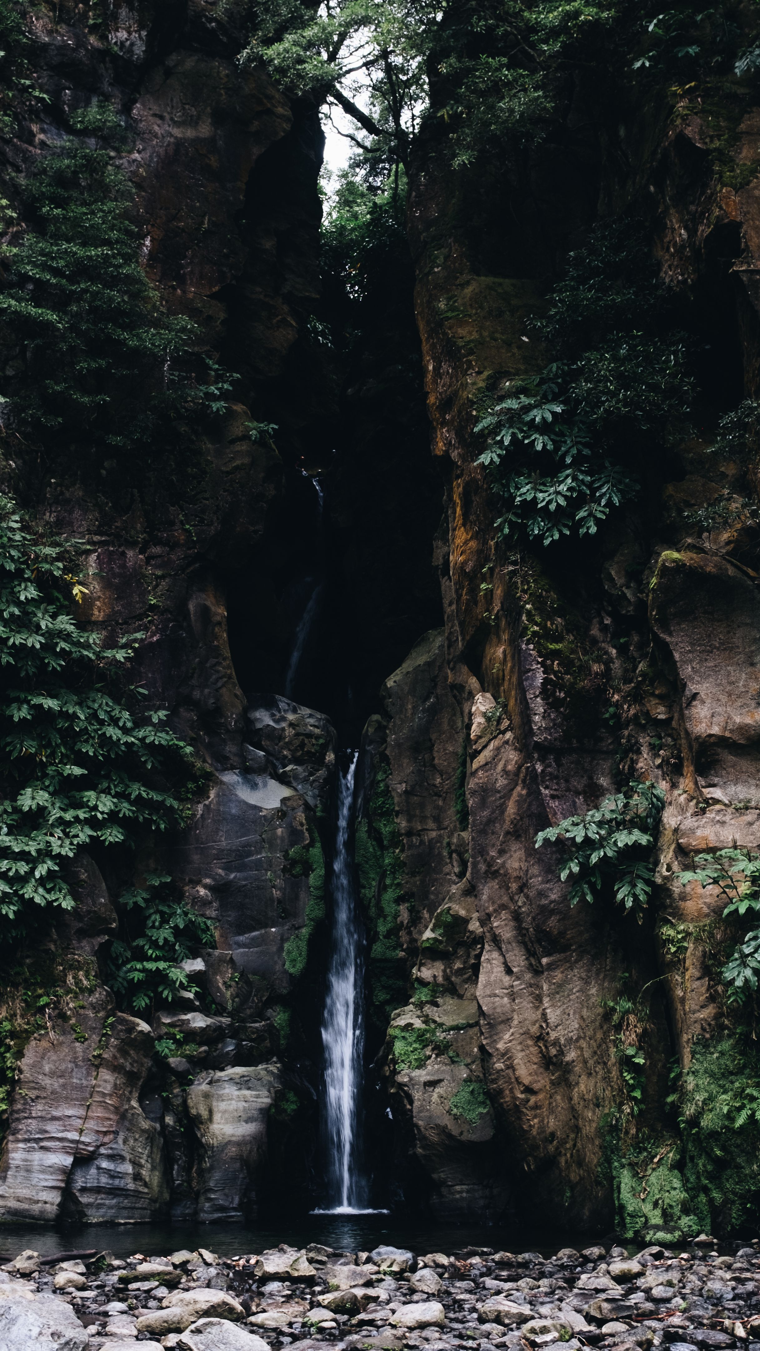 6,000+ Best Water Fall Photos · 100% Free Download · Pexels Stock Photos