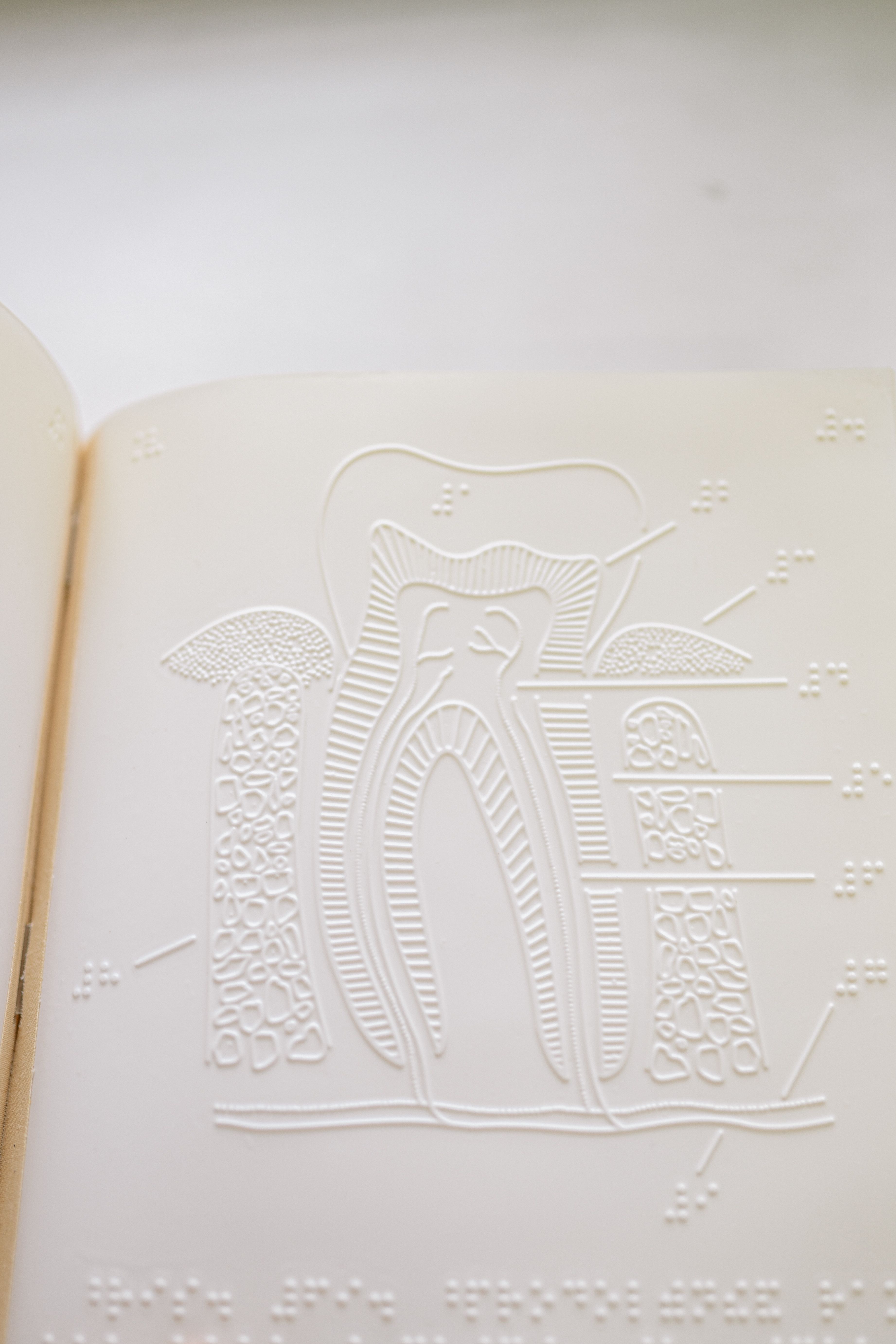 Photo of a Braille Book · Free Stock Photo